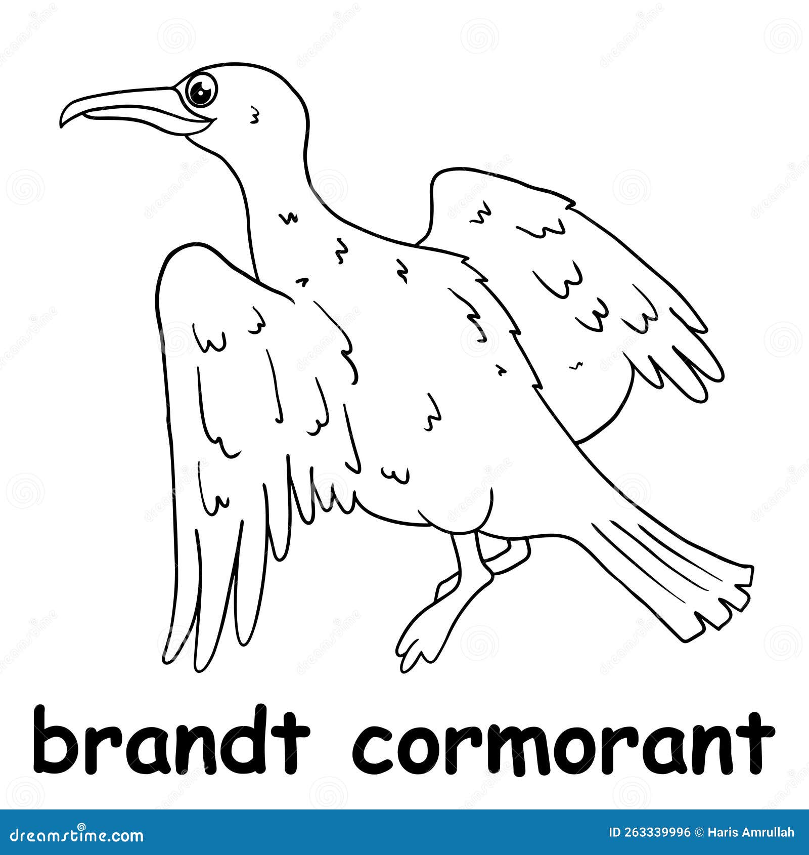 Kids Line Illustration Coloring Brandt Cormorant. Animal Outline Stock ...