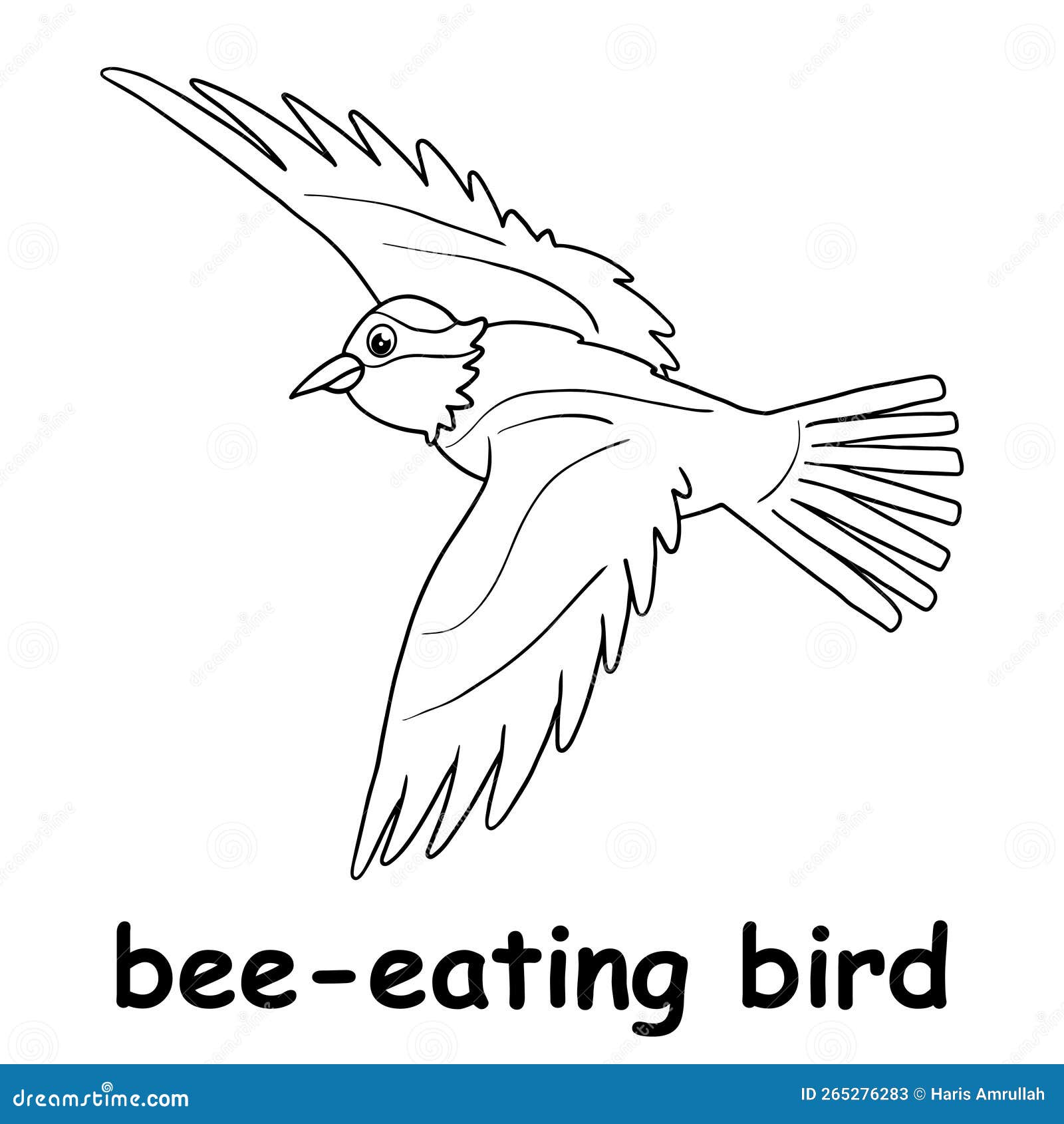 Kids Line Illustration Coloring Bee Eating Bird. Outline Vector for ...