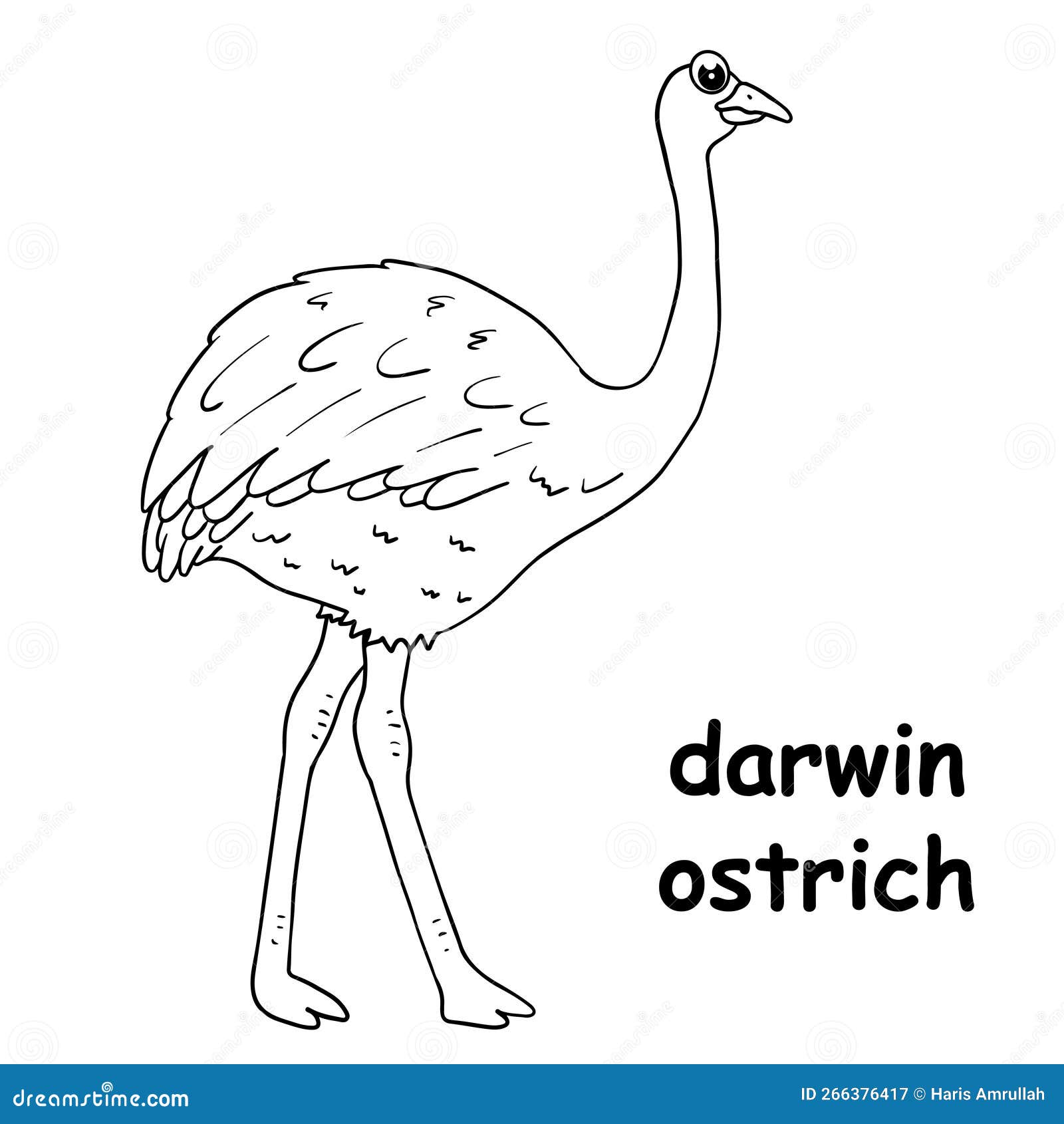 Kids Line Illustration Coloring Animal. Outline Vector for Children ...