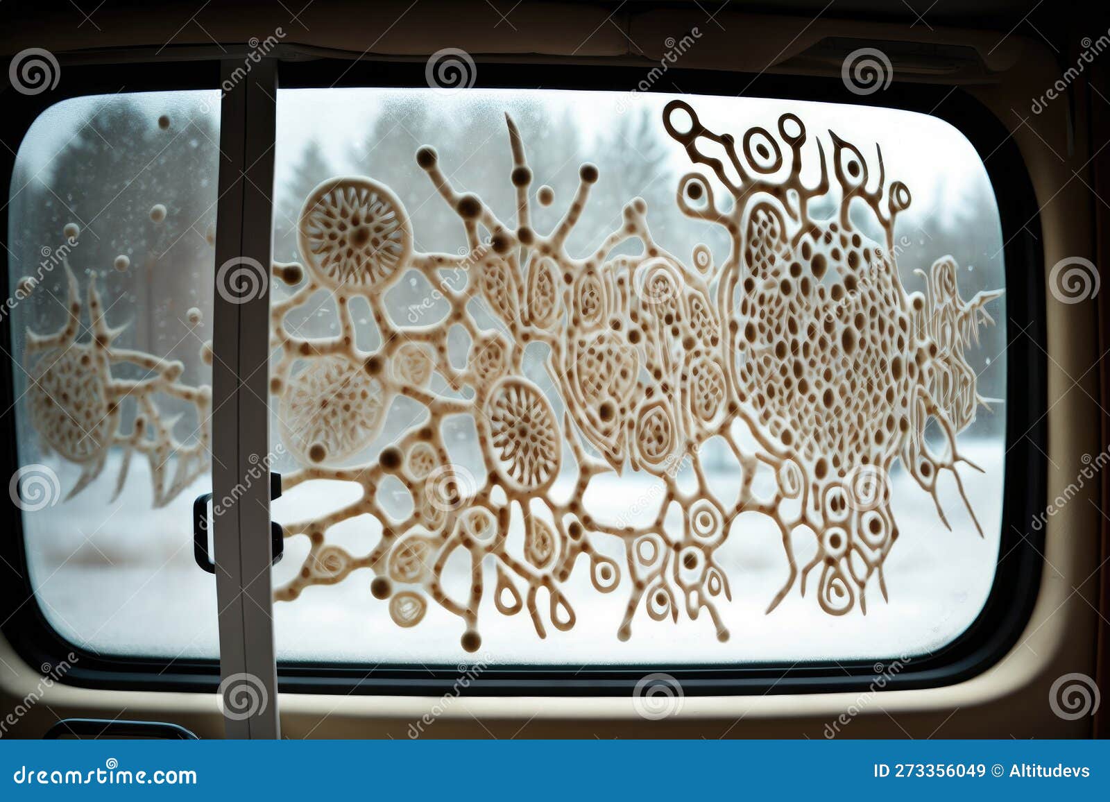 Bus Cabin with Bacteria Growing on the Window, Creating Intricate ...
