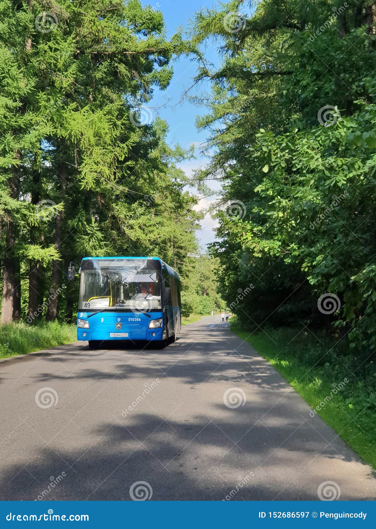 Bus in the forest editorial photography. Image of landscape - 152686597
