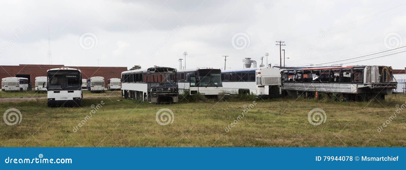 Bus Graveyard stock photo. Image of wrecked, parked, rusting - 79944078