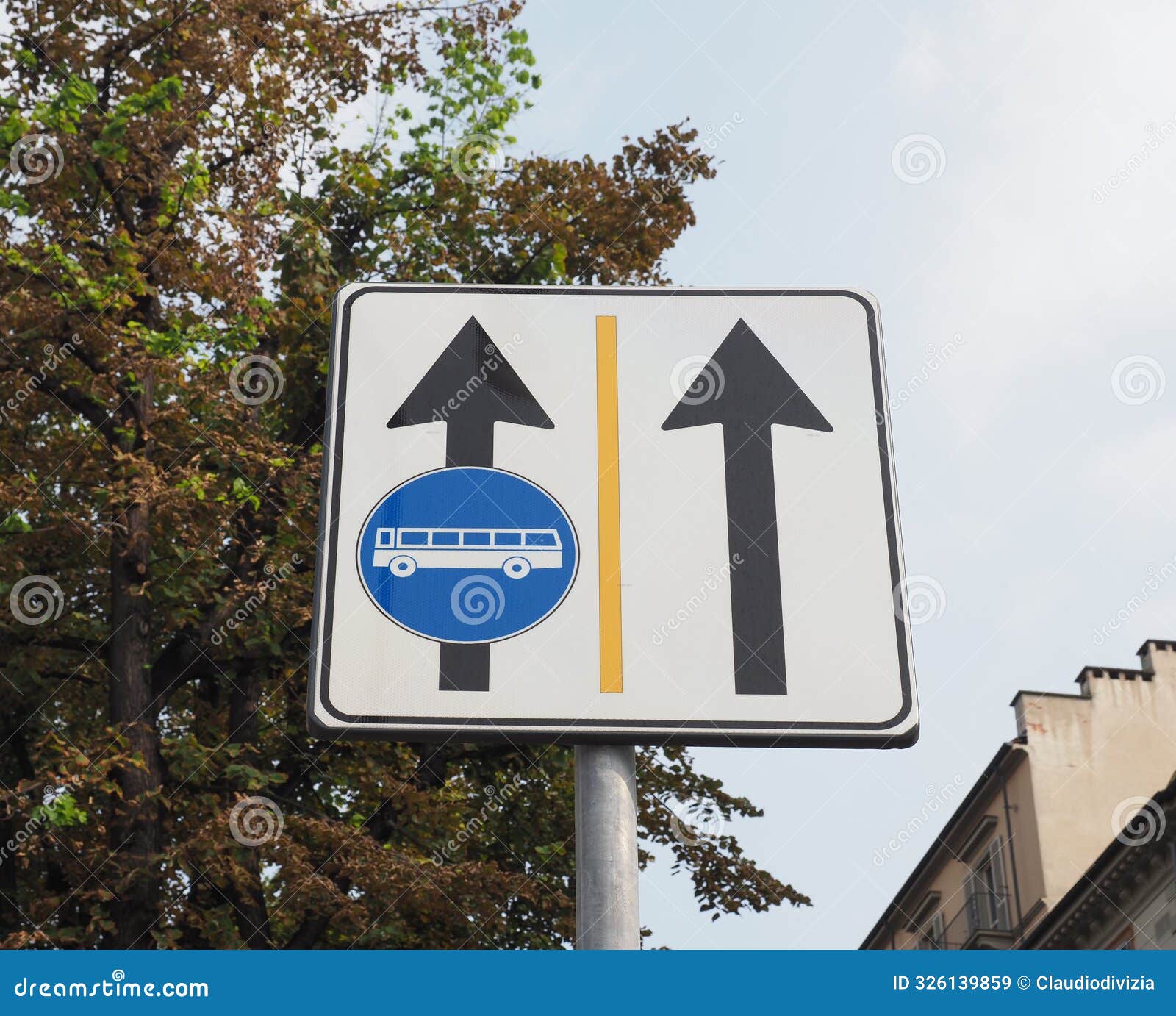 Bus lane sign stock image. Image of parallel, transport - 326139859