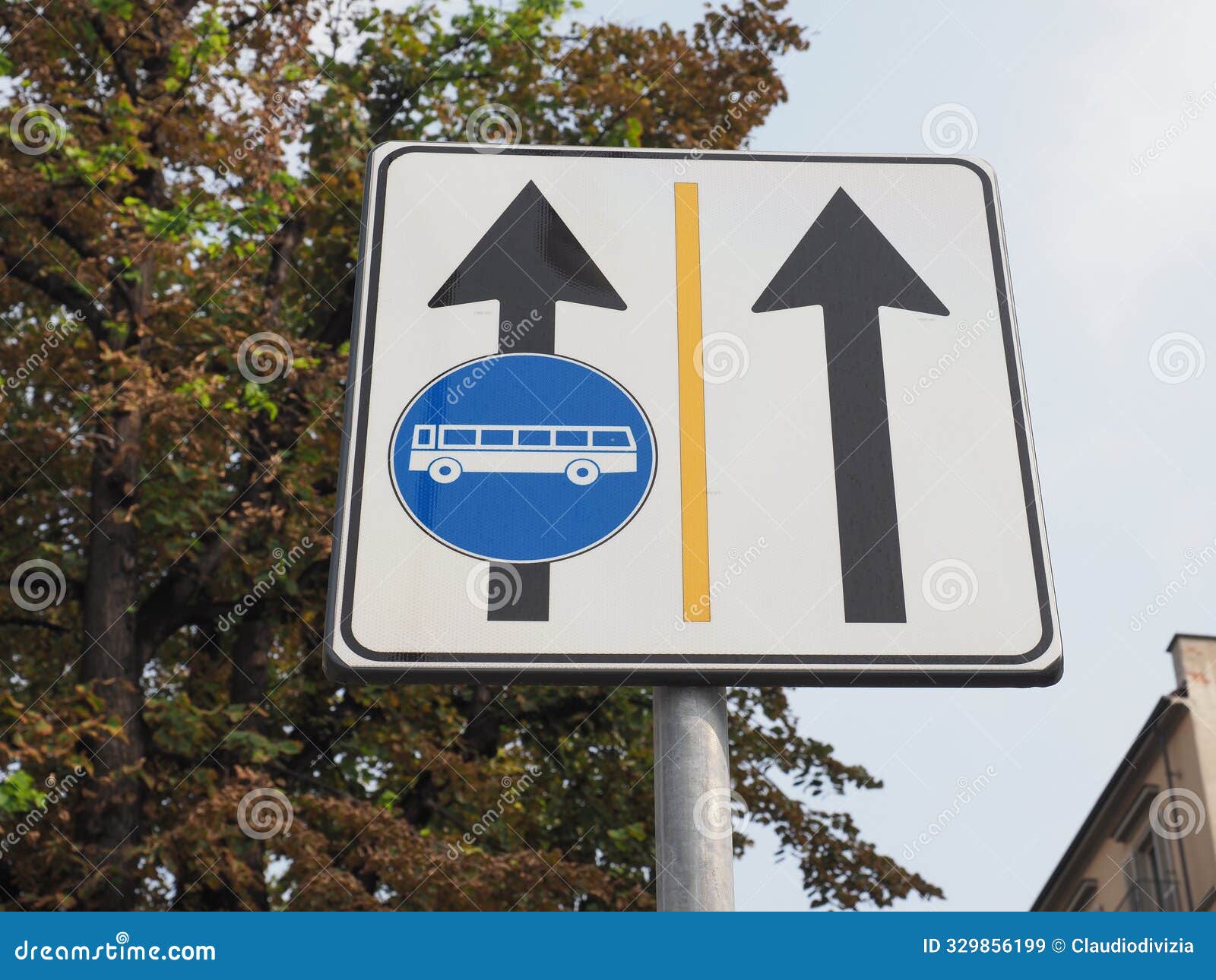 Bus lane sign stock image. Image of sign, reserved, coach - 329856199