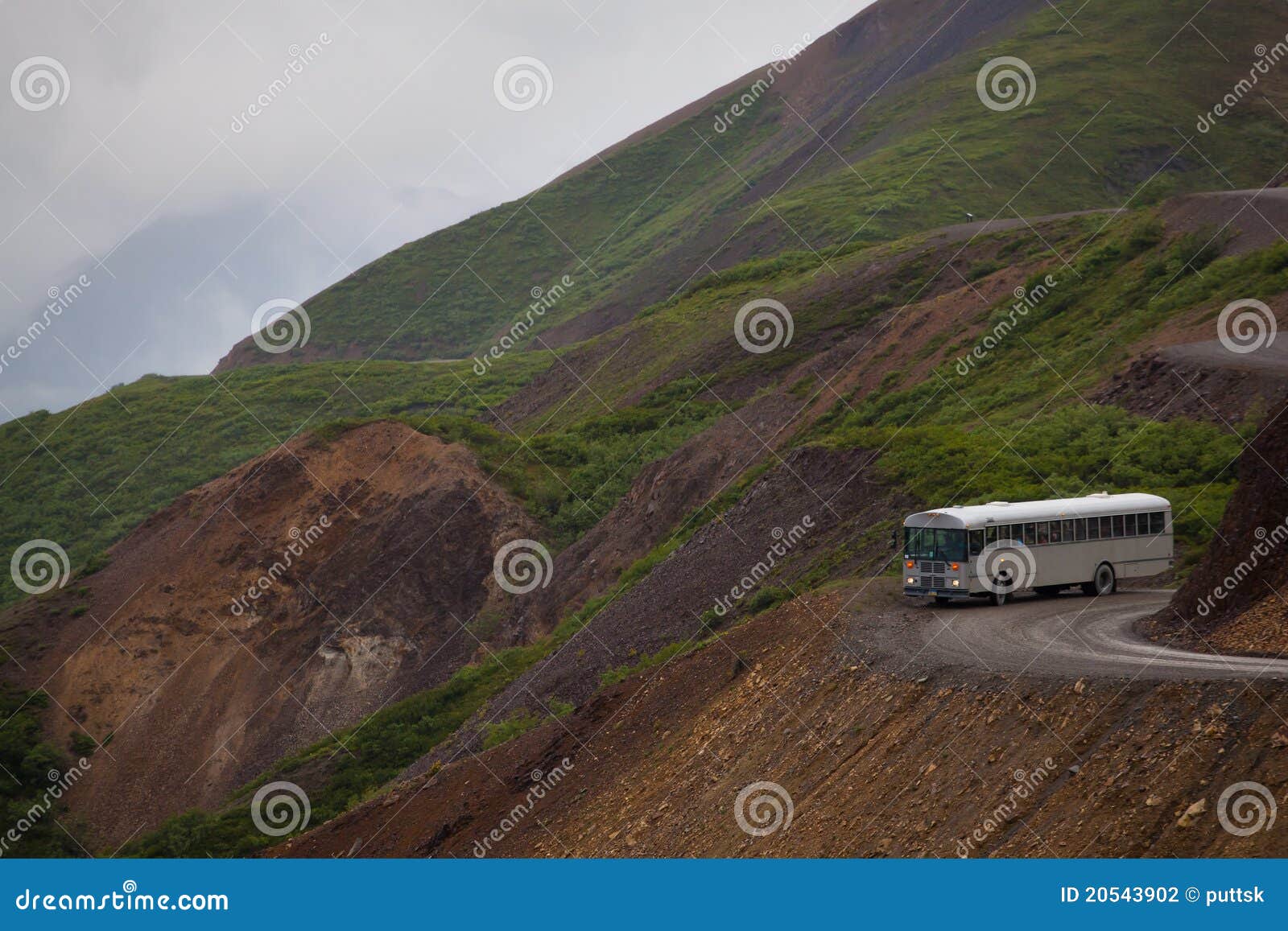 Bus Near Cliff in Denali National Park Stock Photo - Image of national ...