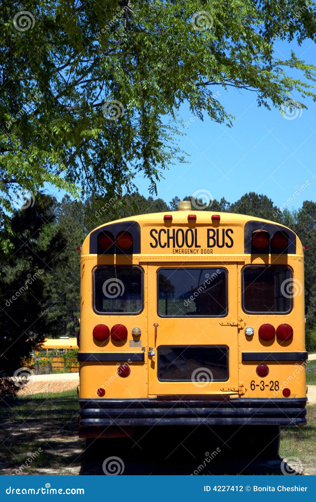 Bus pool stock photo. Image of school, blue, parked, park - 4227412