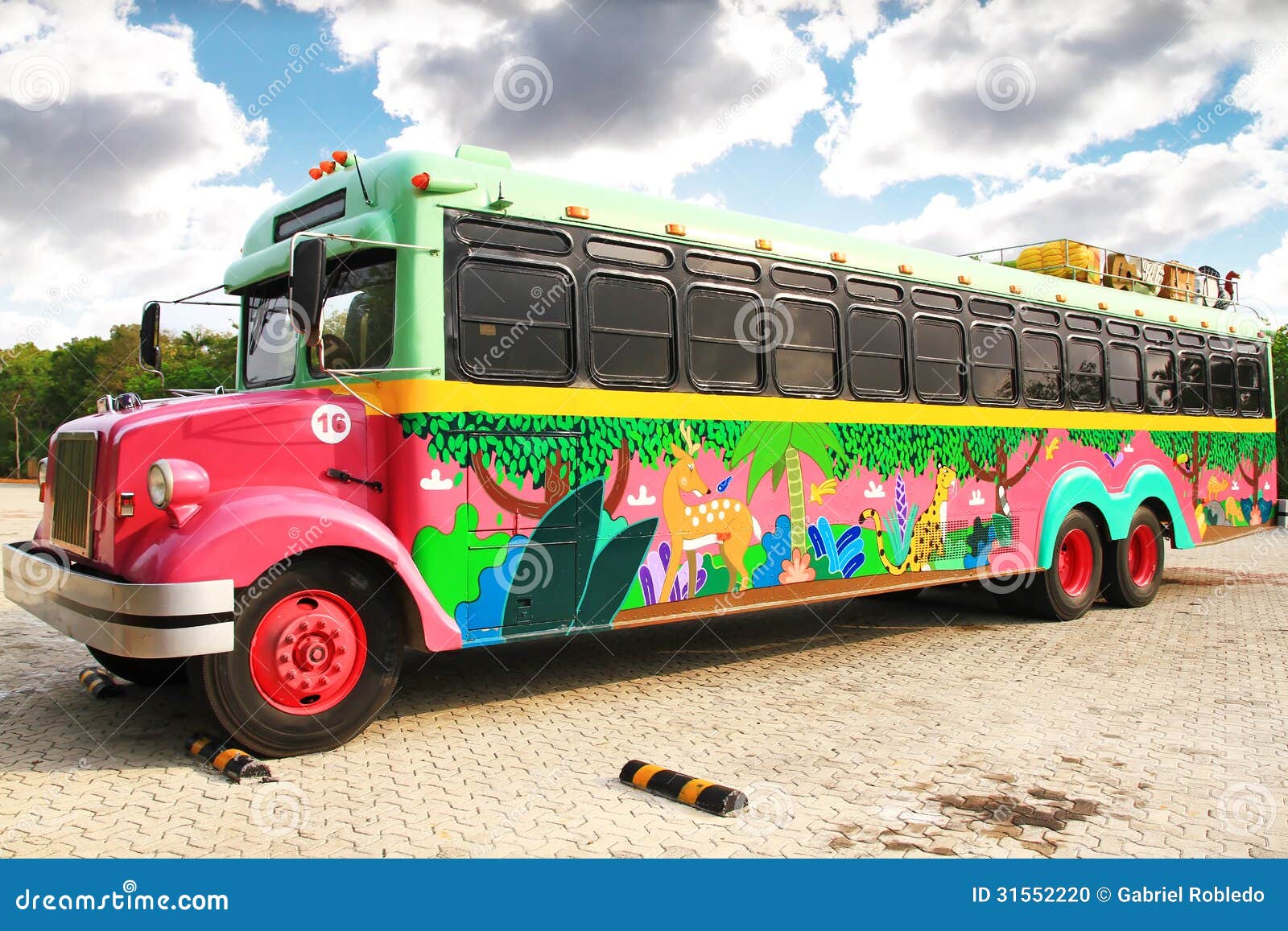 Bus stock photo. Image of road, classic, guided, excursion - 31552220