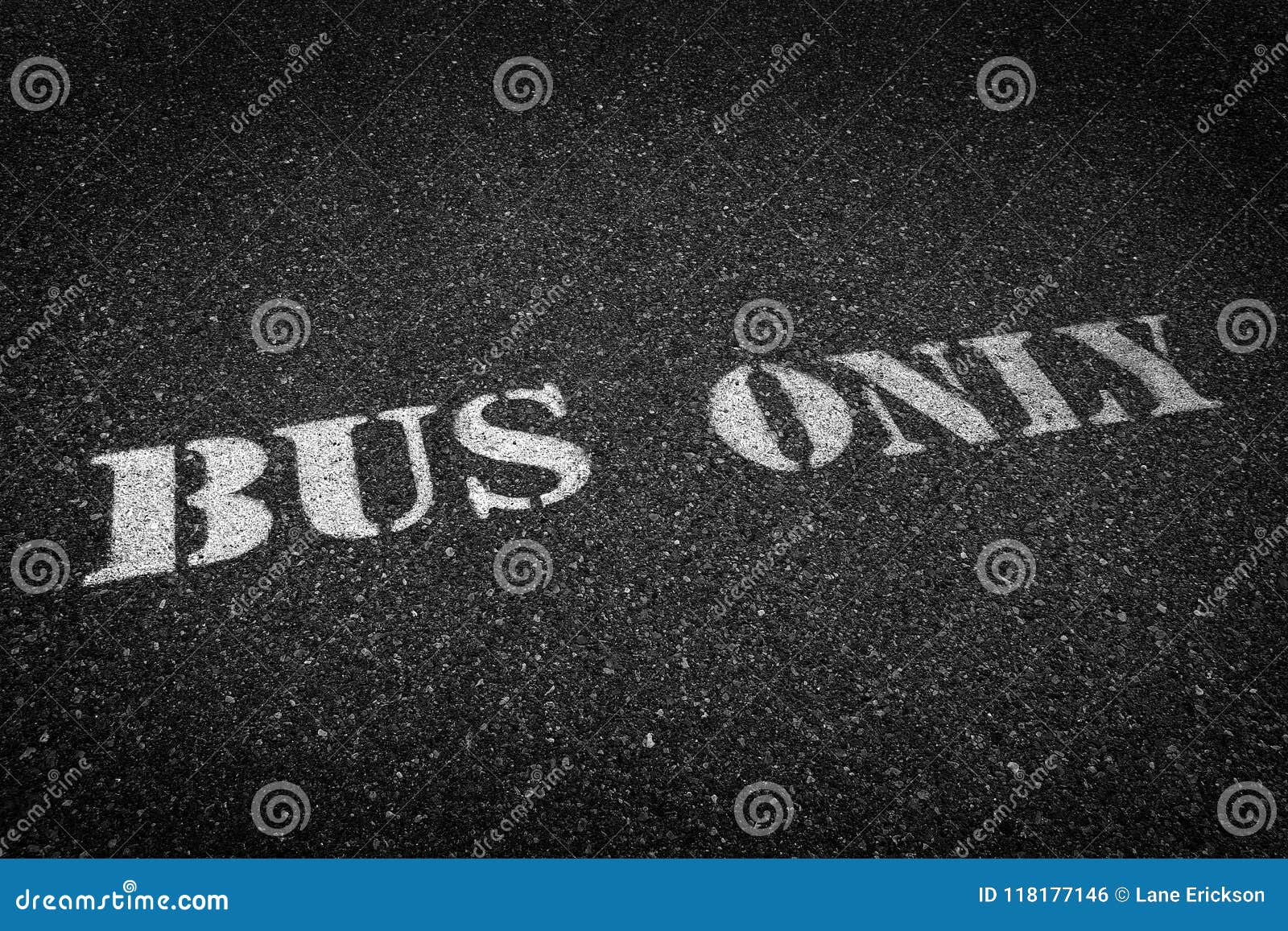 Bus only Sign Painted on Roadway Asphalt for Direction Stock Photo ...