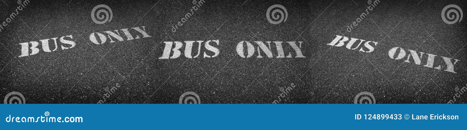 Bus only Sign Painted on Roadway Asphalt for Direction Stock Image ...