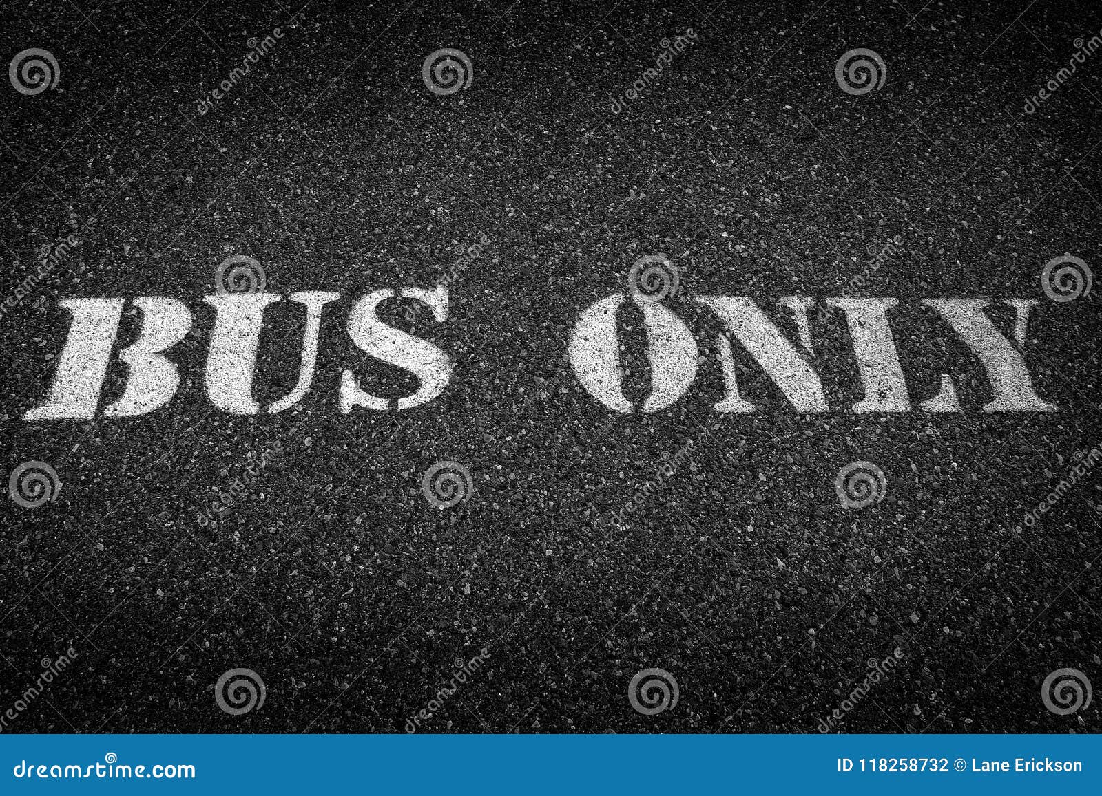 Bus only Sign Painted on Roadway Asphalt for Direction Stock Photo ...