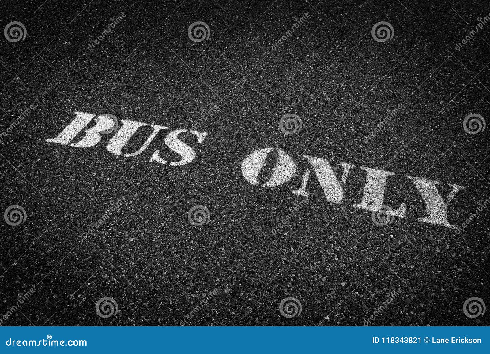 Bus only Sign Painted on Roadway Asphalt for Direction Stock Image ...