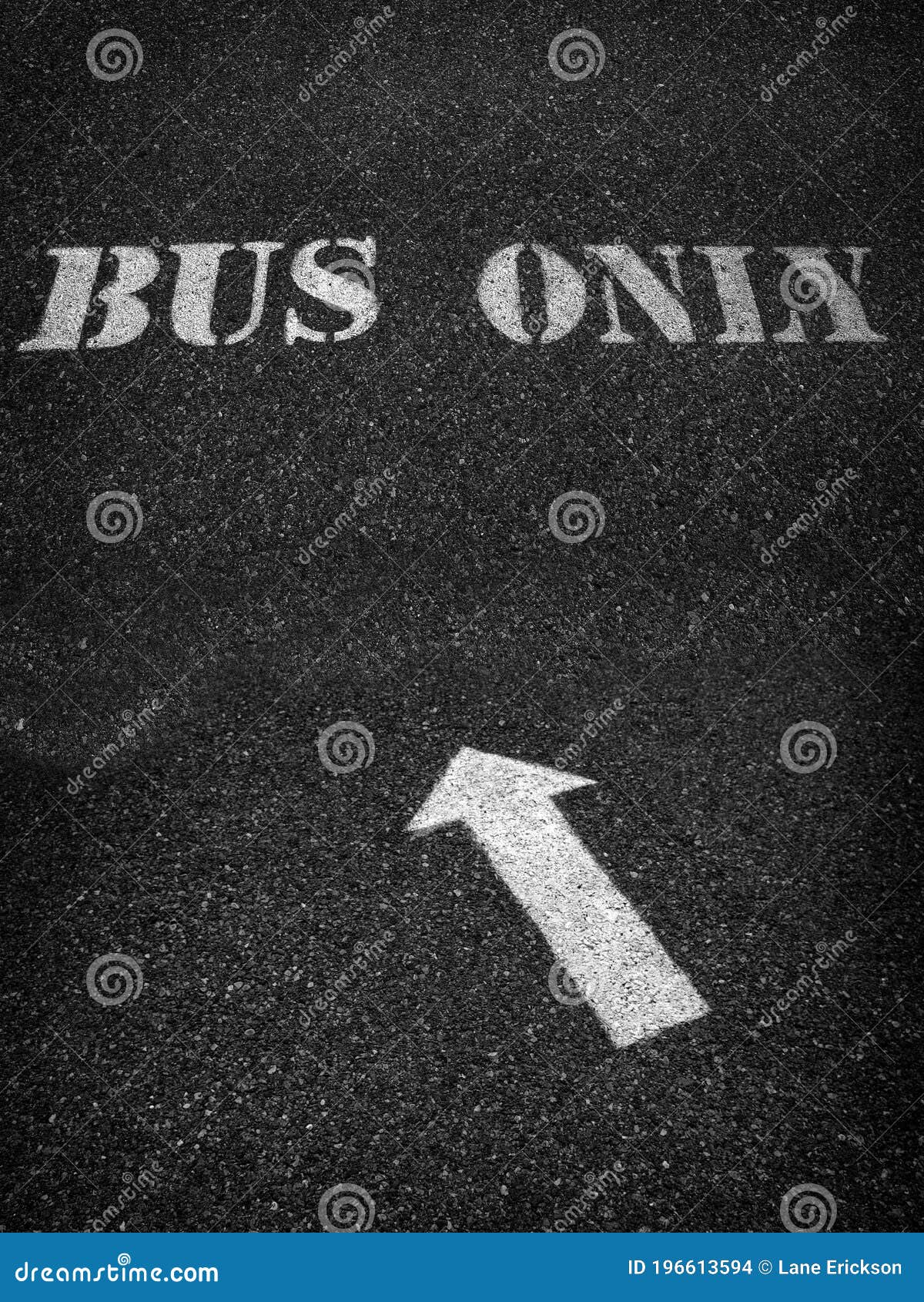 Bus only Sign Painted on Roadway Asphalt for Direction Stock Photo ...