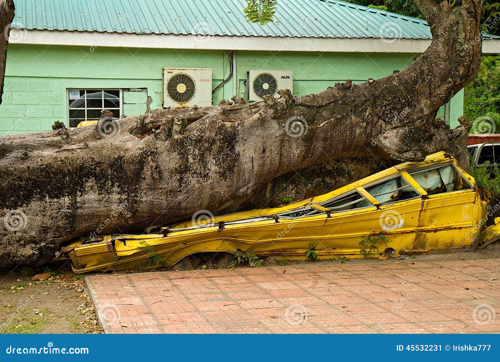 Bus Squashed by Tree during Hurricane, Dominica, Editorial Photo ...