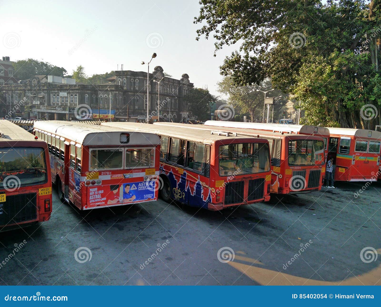 Bus Standing in Queue for Departure. Editorial Stock Image - Image of ...
