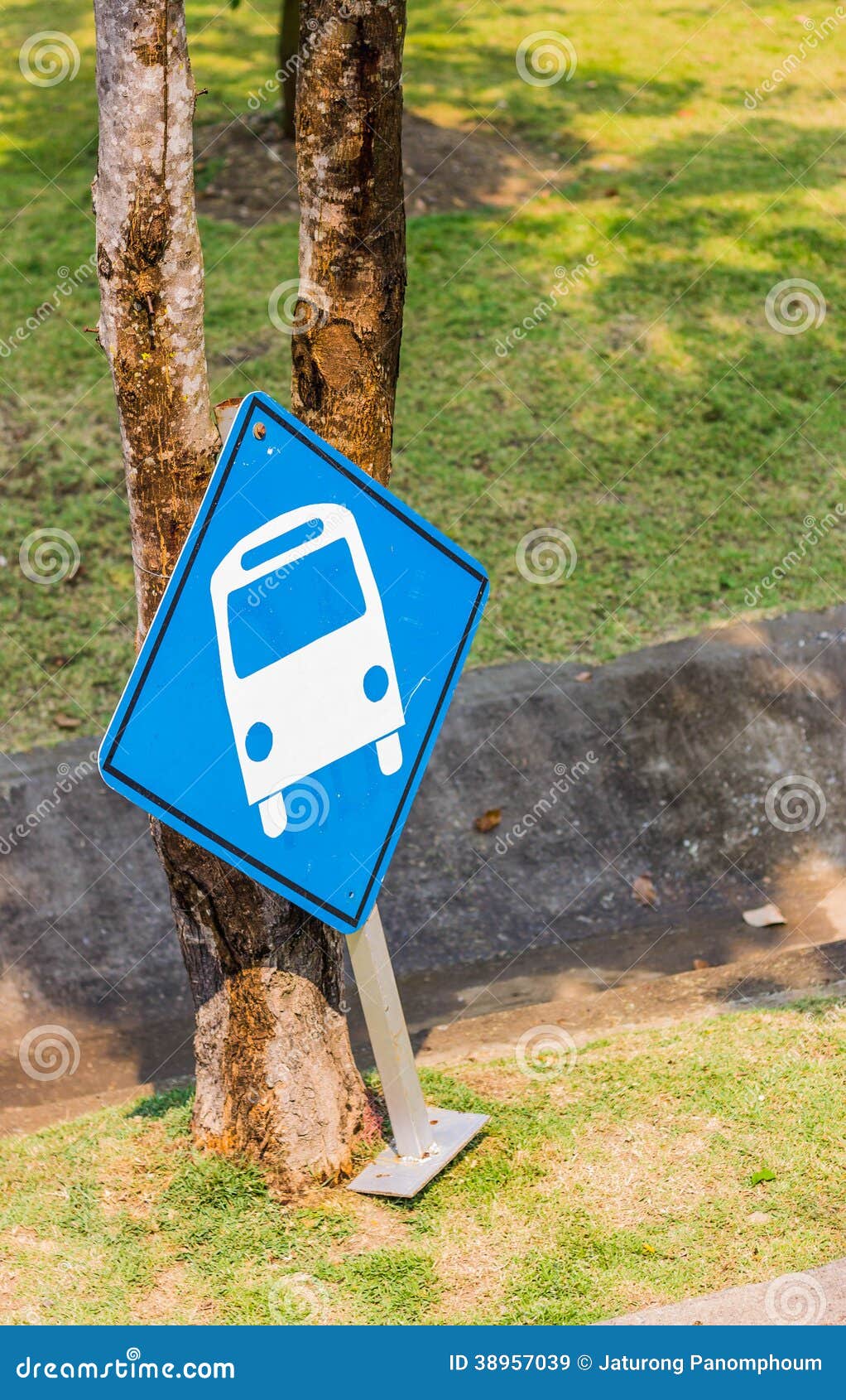 Bus Stop stock image. Image of natural, nature, stop - 38957039