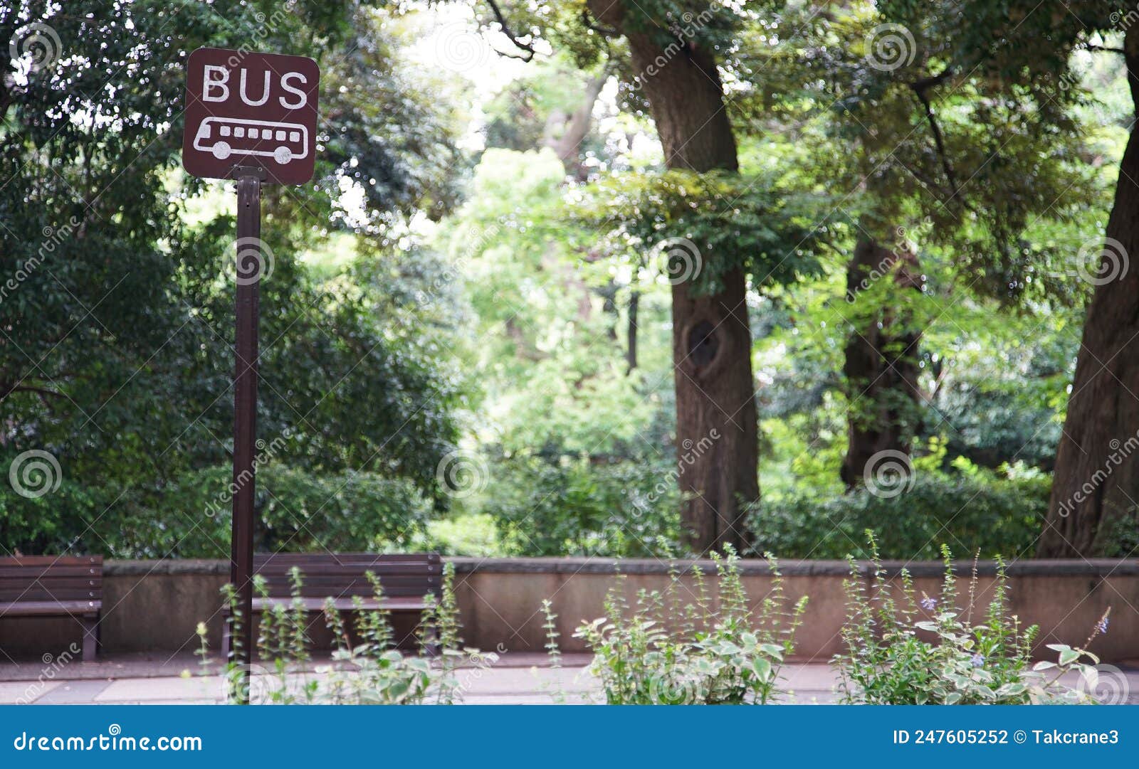 Bus stop in the forest stock photo. Image of leaf, green - 247605252