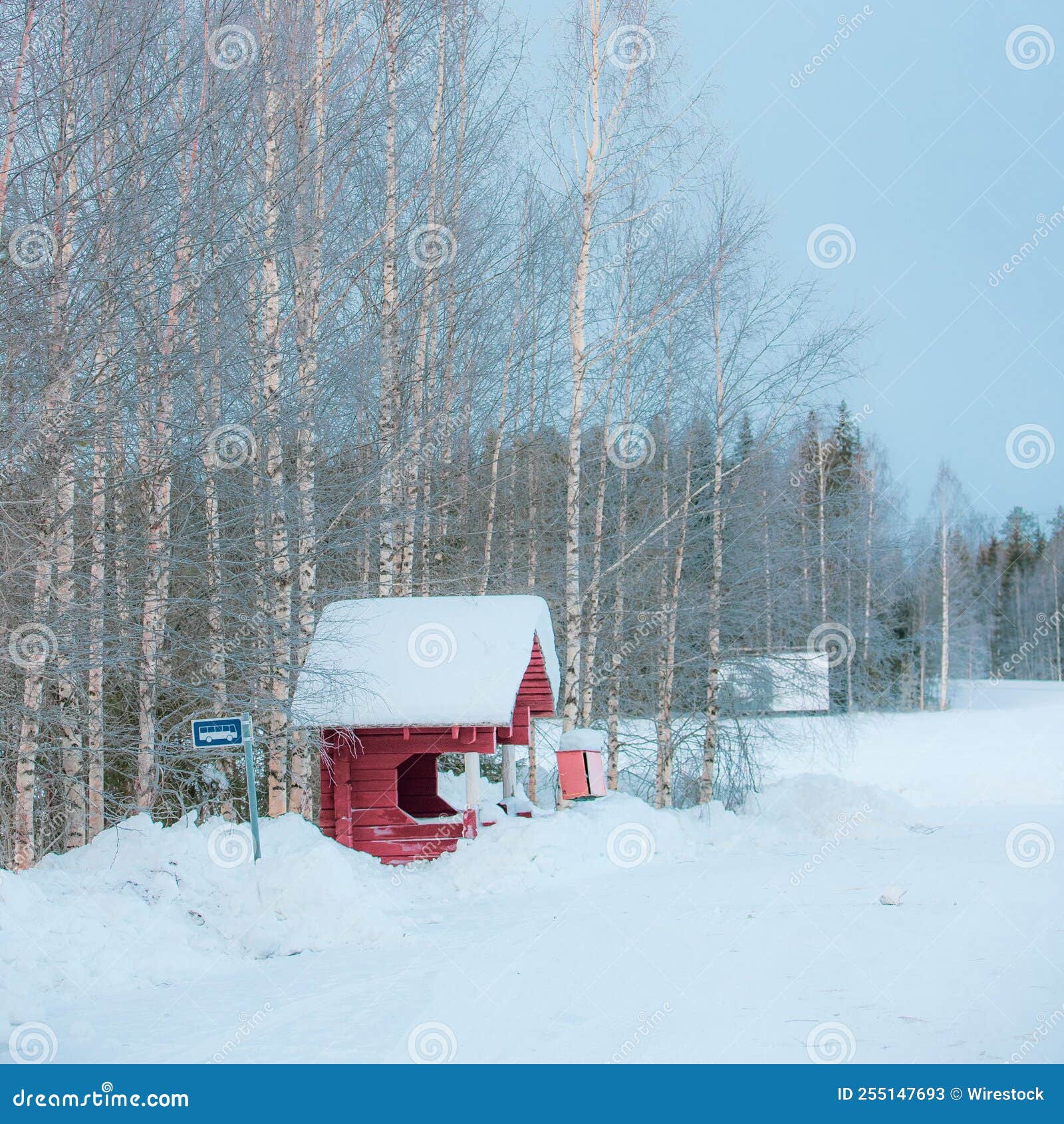 Bus Stop in the Middle of a Forest with Trees Covered in Snow in Winter ...
