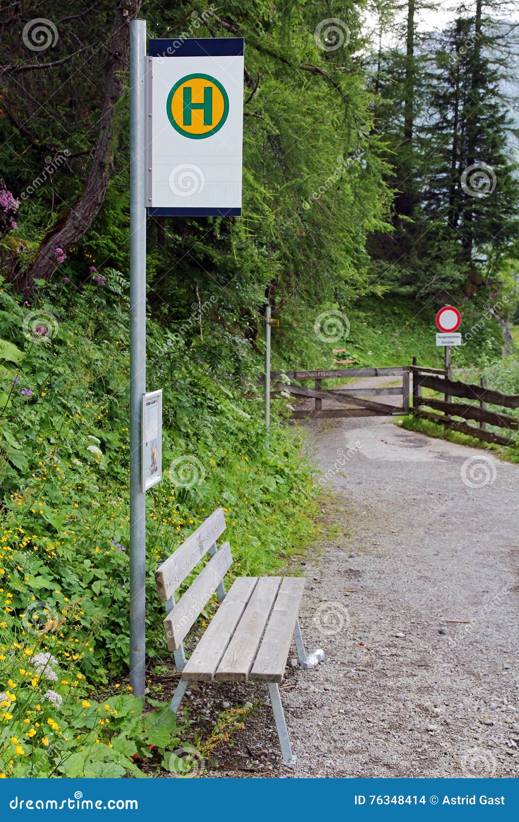Bus Stop in the Mountains of Austria Stock Photo - Image of road ...