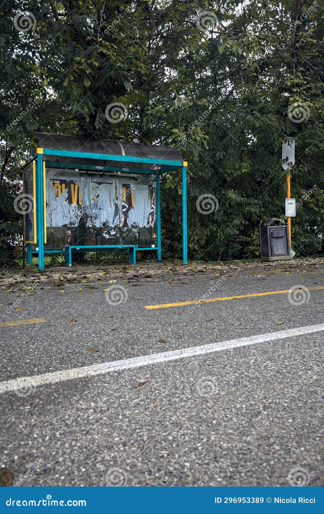 Bus Stop in a Road Bordred by Trees Stock Image - Image of area ...