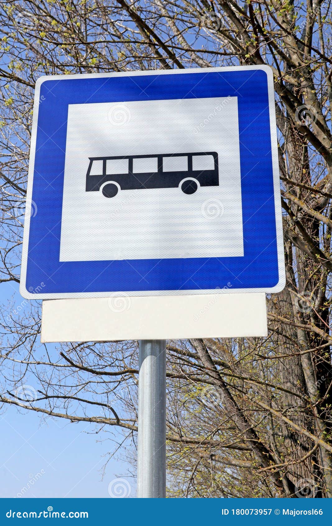 Bus Stop Road Sign in Front of a Tree Stock Image - Image of white ...
