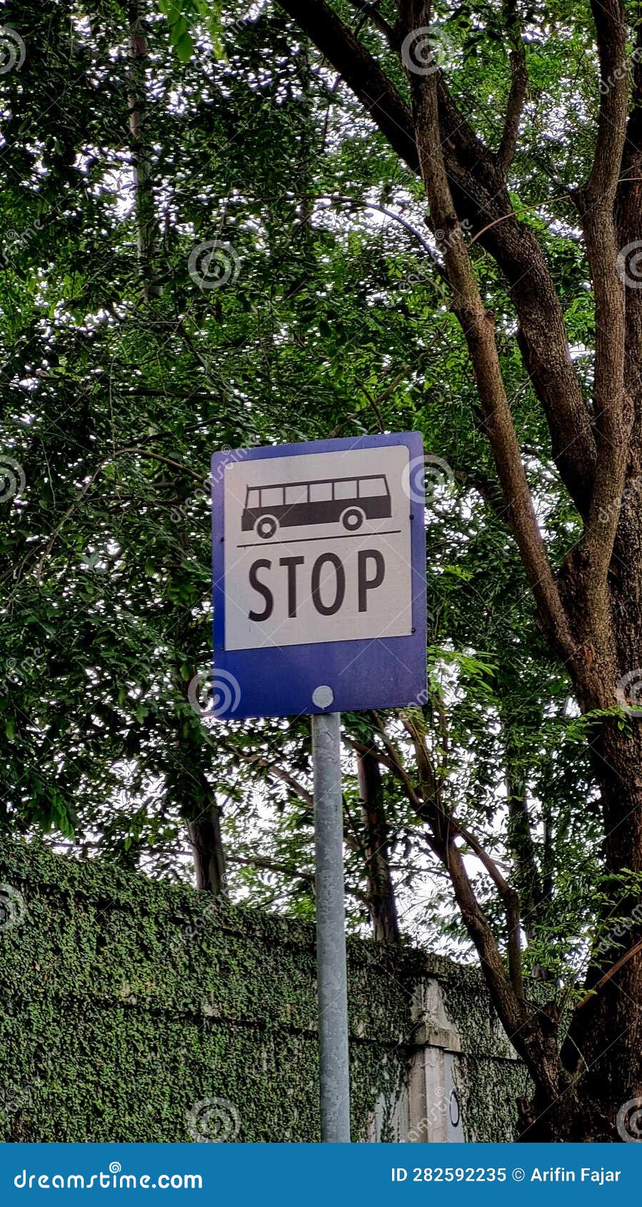 Bus Stop Road Sign Under the Tree Stock Image - Image of sign, road ...