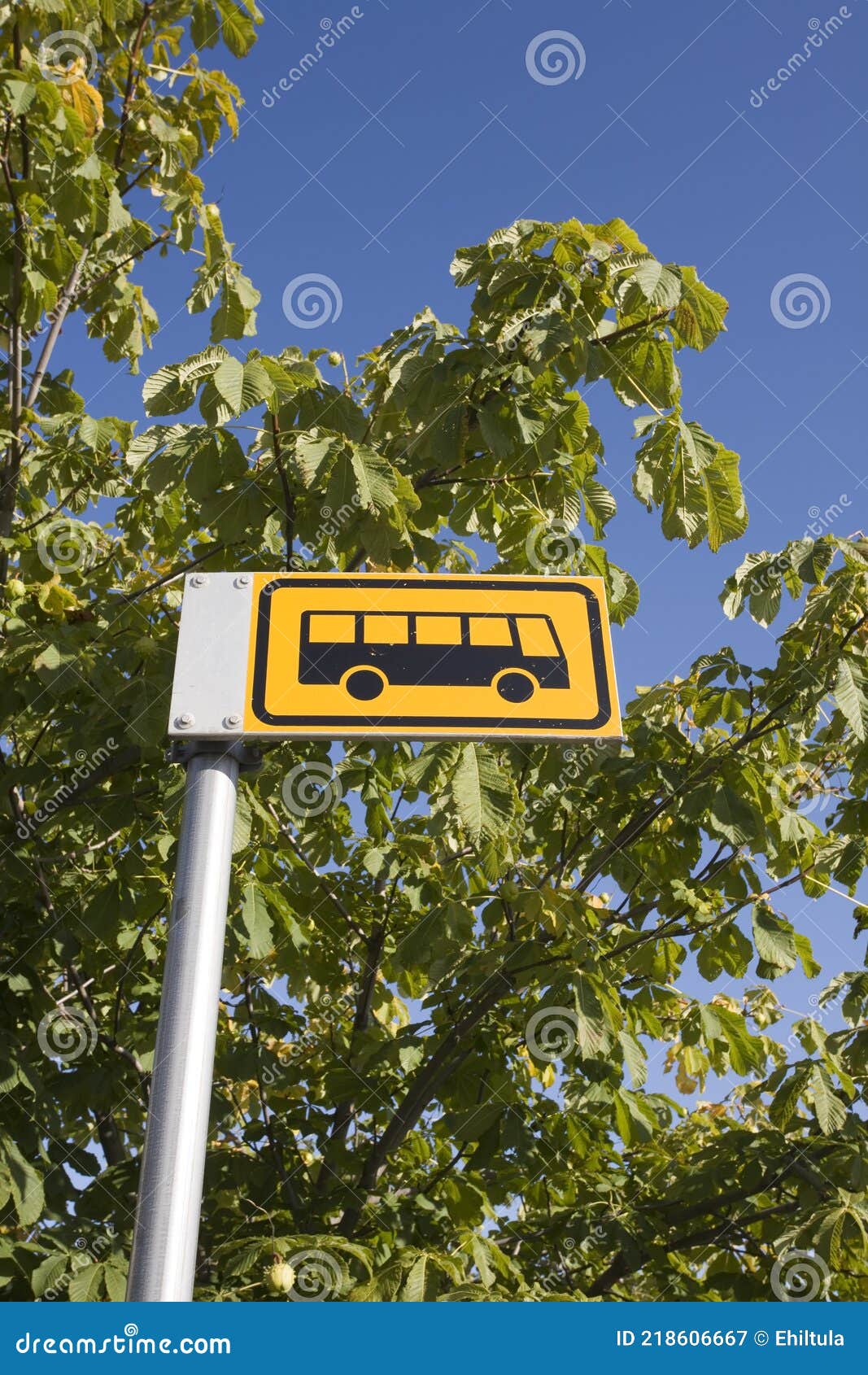 Bus stop sign Finland stock image. Image of sunshine - 218606667