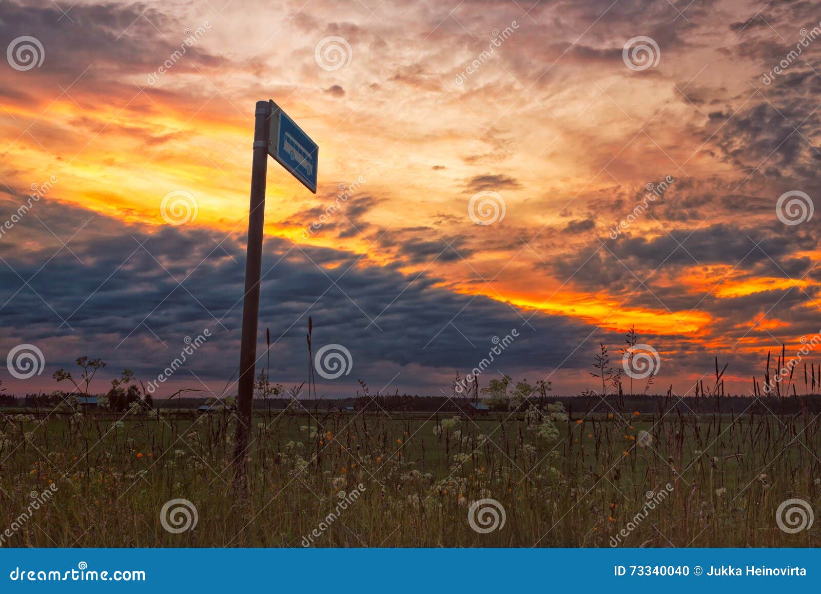 Bus Stop in the Sunset stock photo. Image of countryside - 73340040