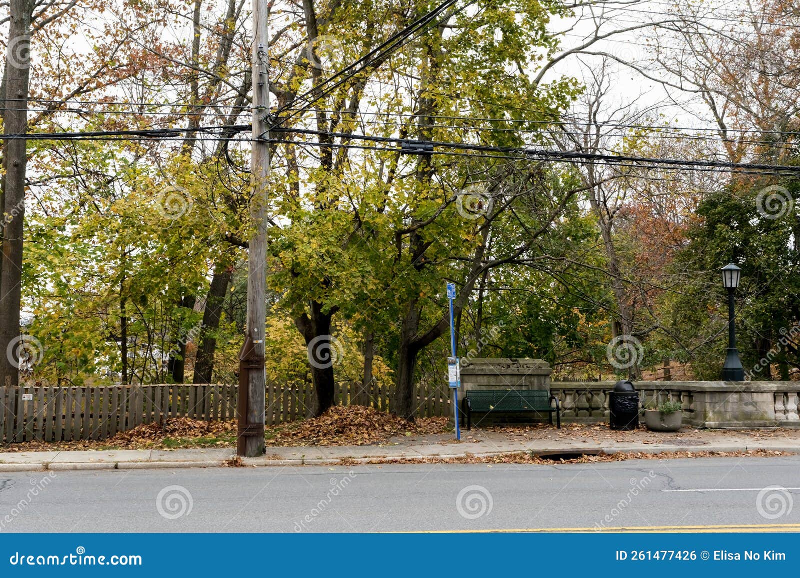 A bus stop stock photo. Image of park, forest, trees - 261477426