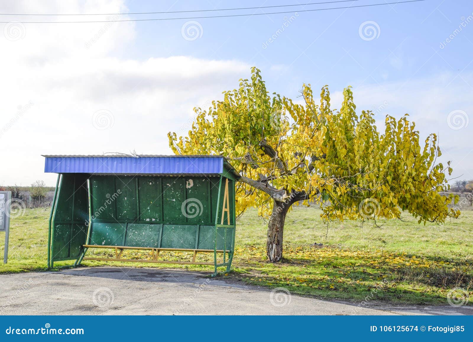 Bus Stop in the Village. the Stopper Next To the Tree. Stock Photo ...