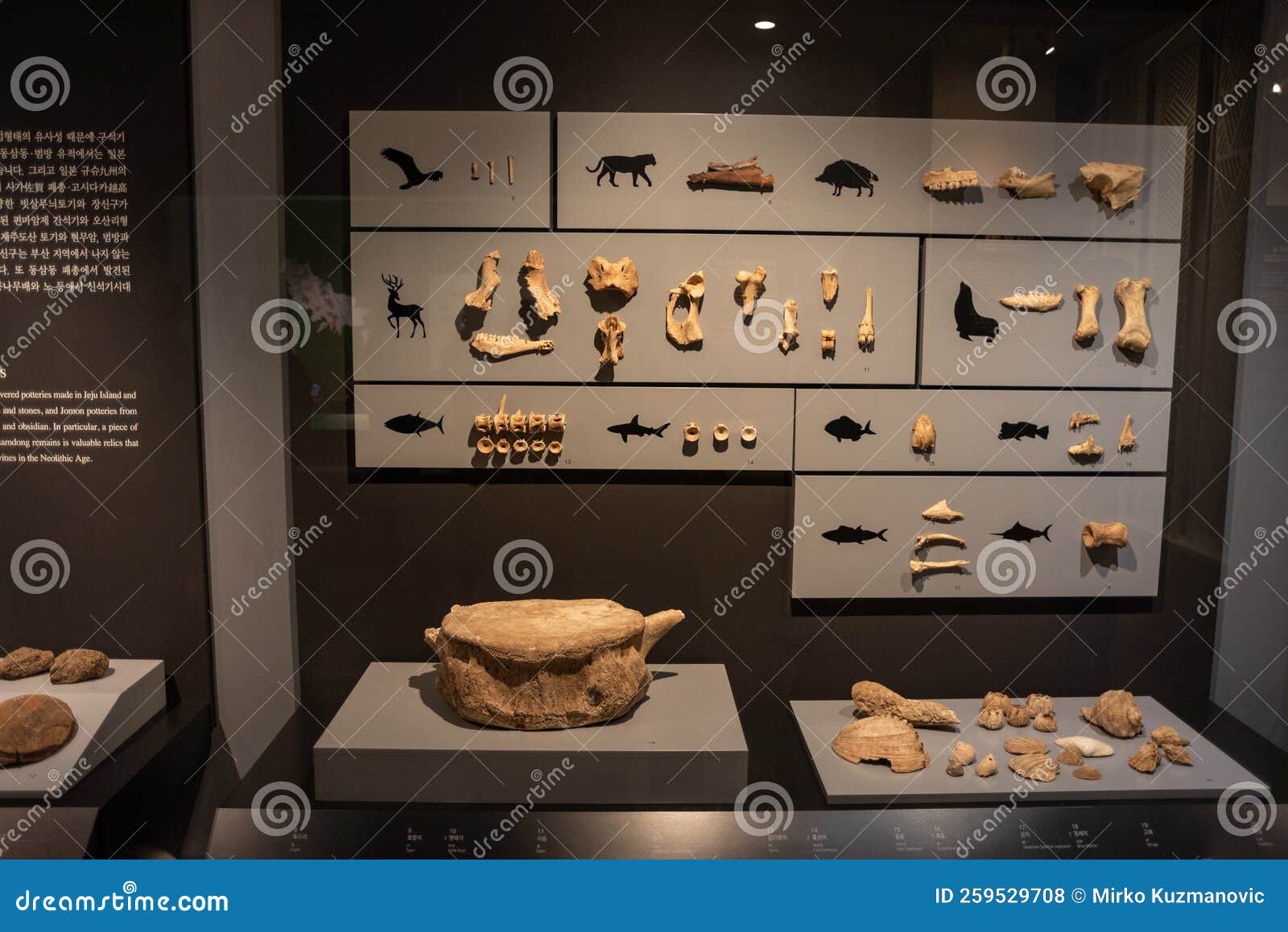 Busan Museum Collection of Artifacts and Relics in Busan South Korea ...