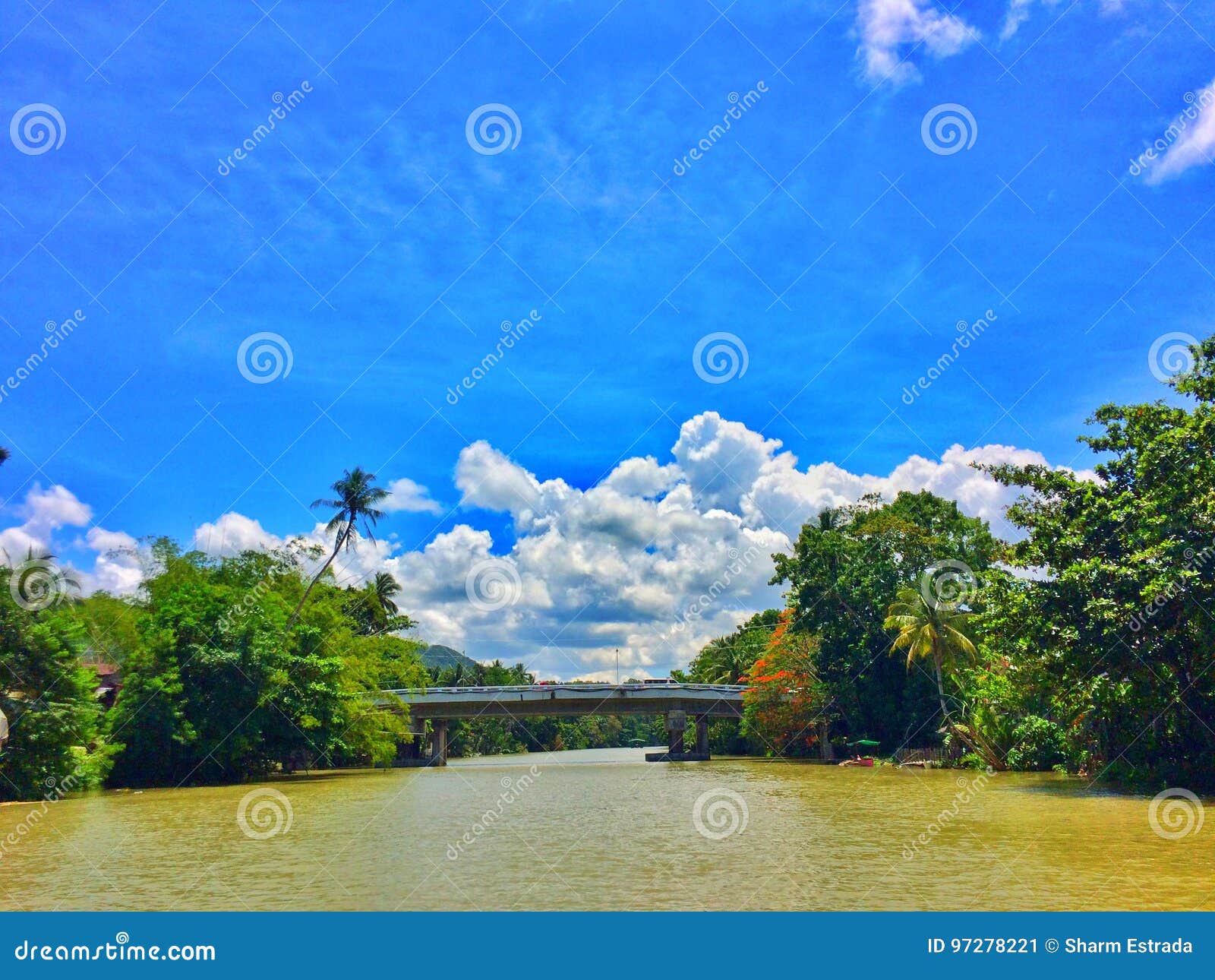Busay River stock image. Image of nature, plant, bank - 97278221