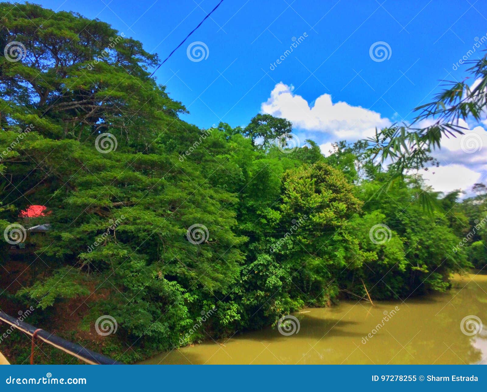 Busay River stock image. Image of river, bohol, twin - 97278255