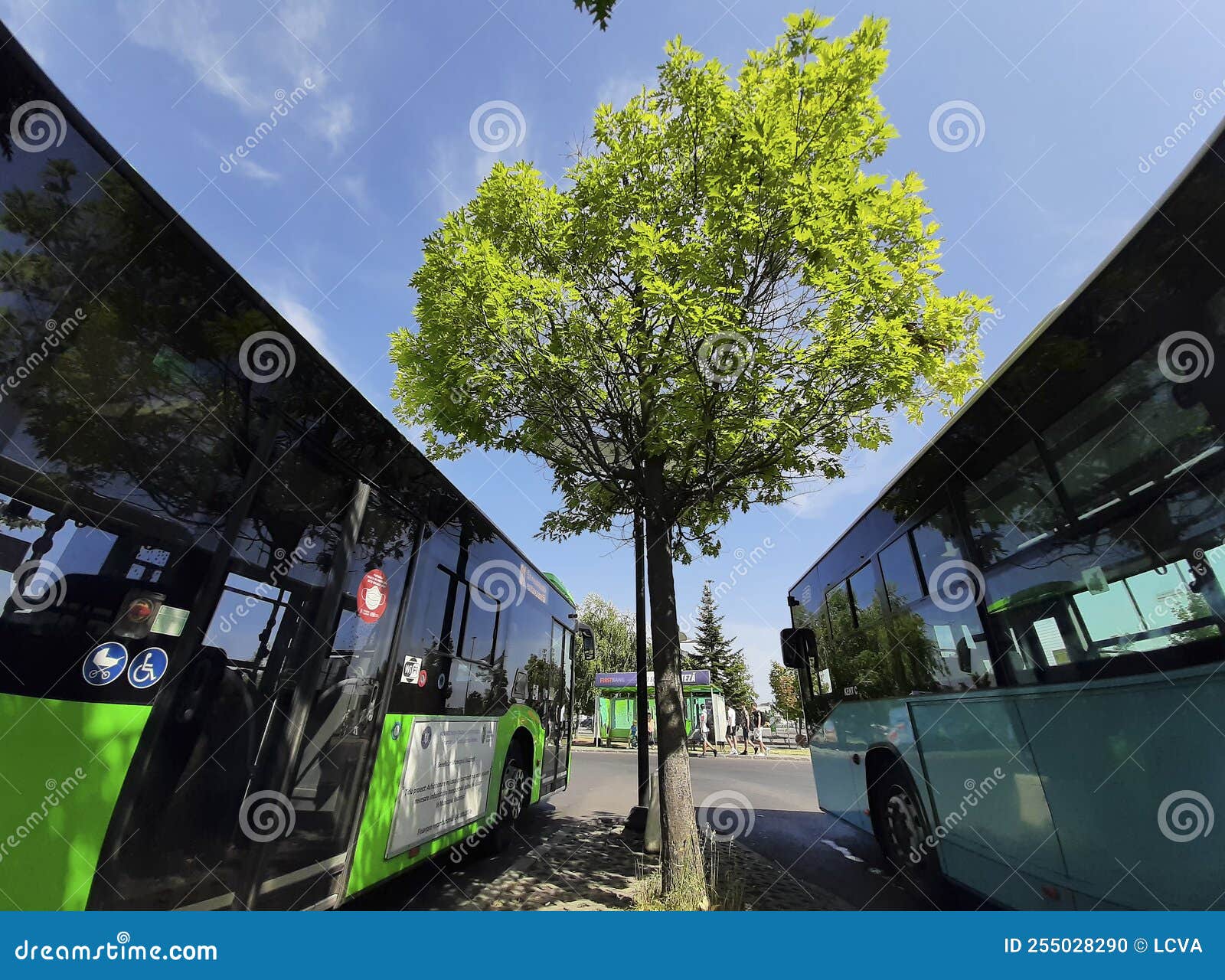 Buses of Public Transport - Bucharest, Romania Editorial Image - Image ...