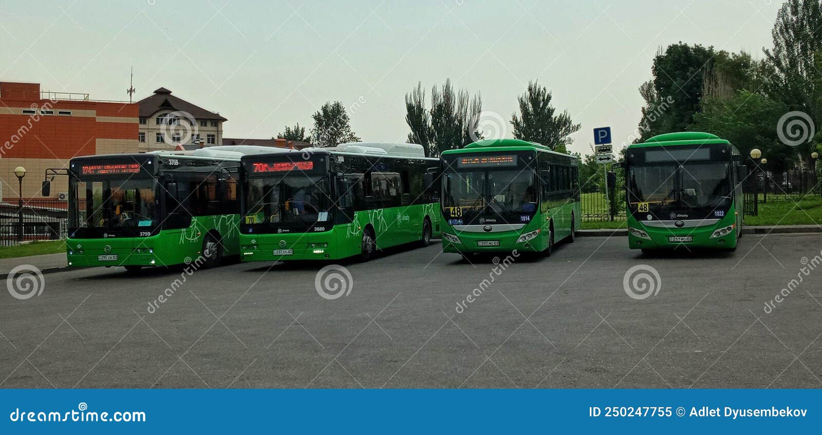 Buses Standing At A Bus Stop. Airport Passenger Transport. Big Four ...