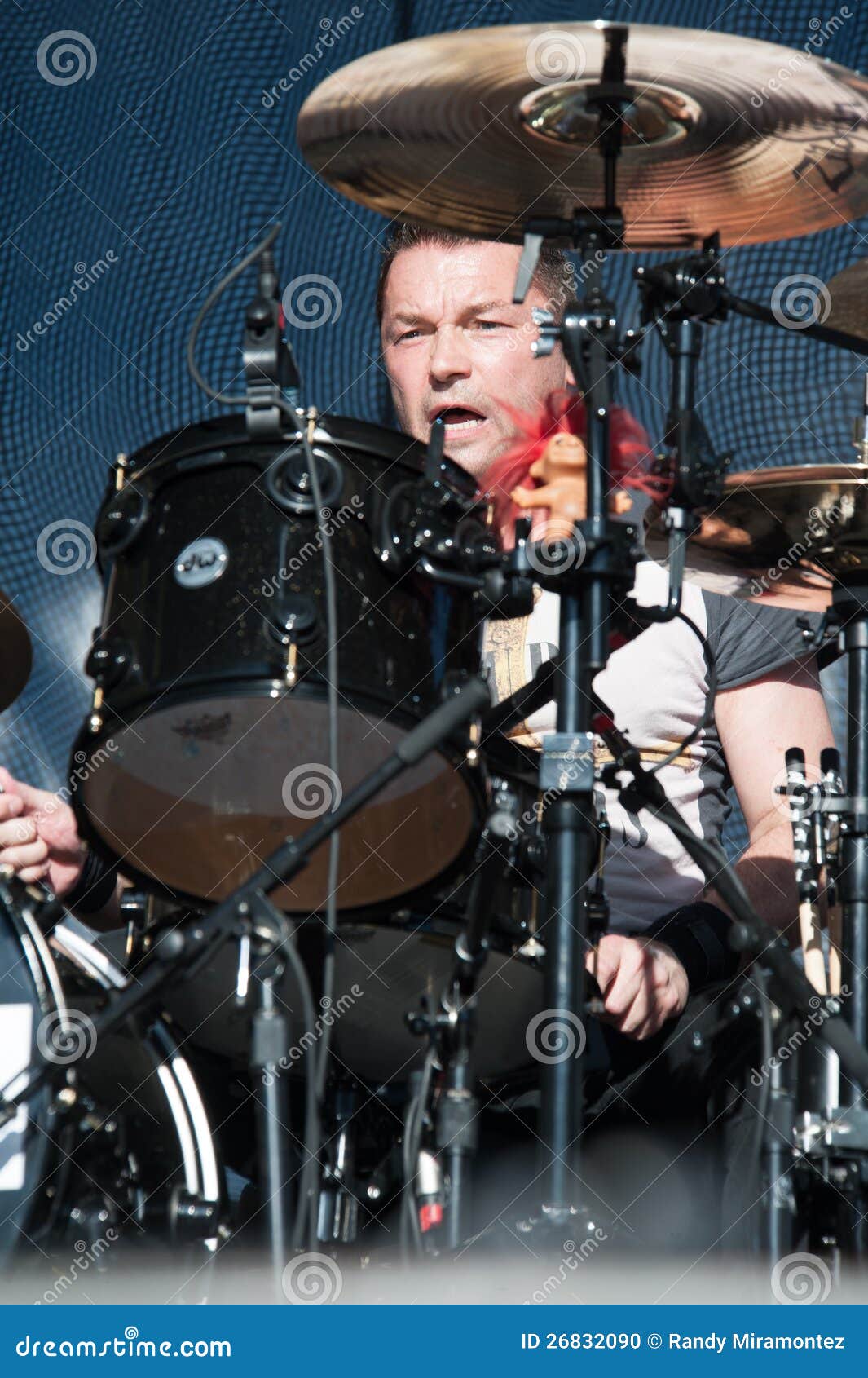 Bush editorial image. Image of drink, goodridge, escape - 26832090