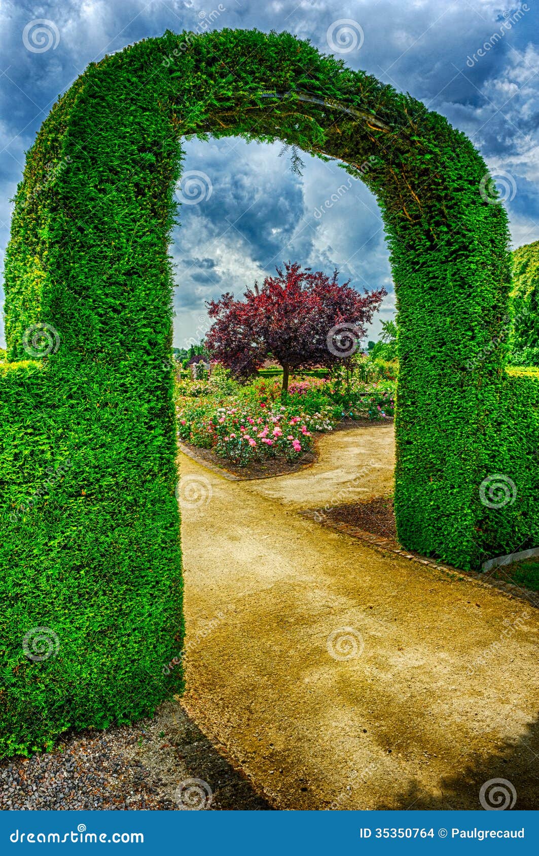 Bush Arch in Beautiful Summer Garden Stock Photo - Image of footpath ...