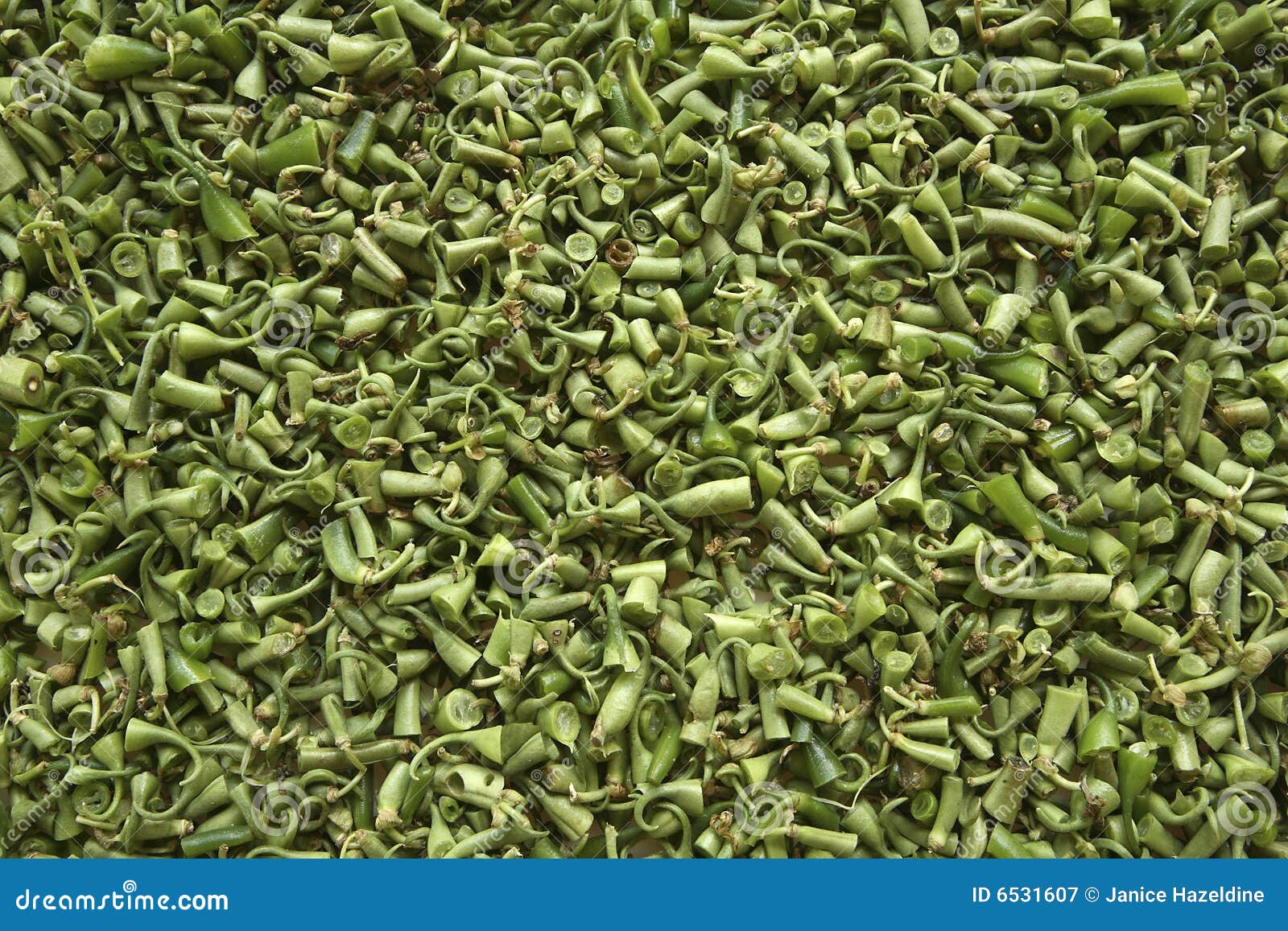 Bush Bean Ends Background Picture. Image: 6531607