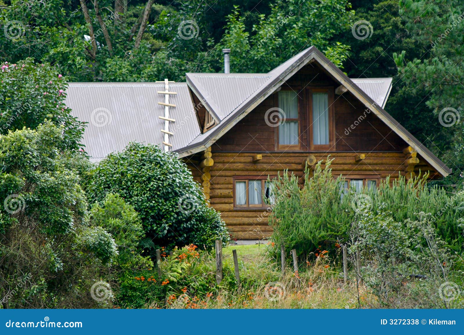 Bush cabin stock photo. Image of shack, country, quaint - 3272338