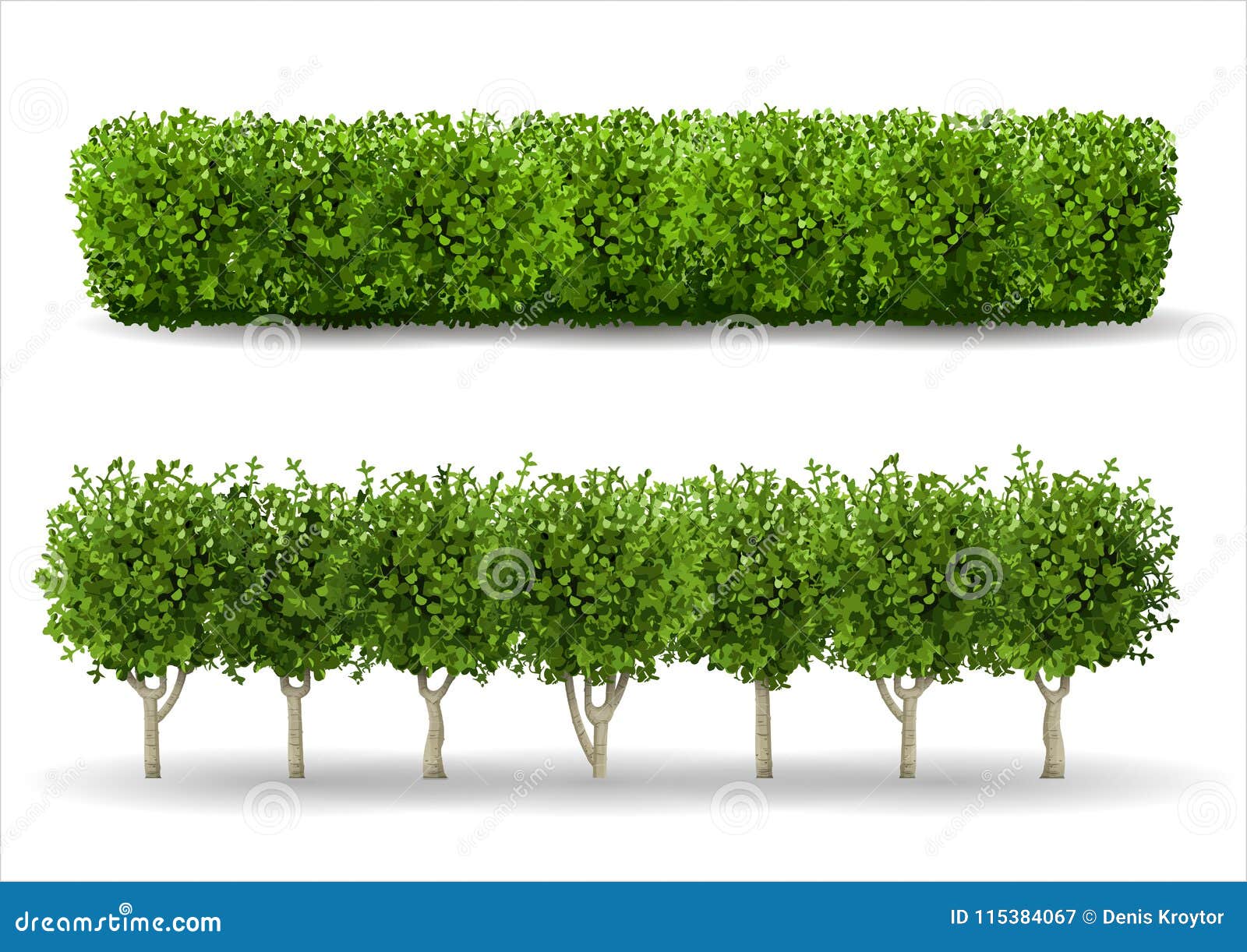 Bush in De Vorm Van Een Groene Haag Vector Illustratie - Illustration ...