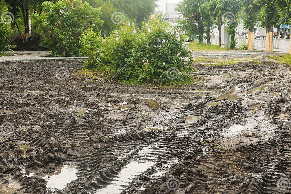 A Bush on a Dirty Construction Site in the Stock Photo - Image of ...