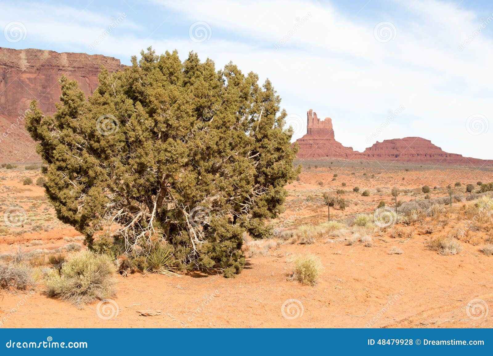 Bush with Earth Monuments stock photo. Image of mountains - 48479928