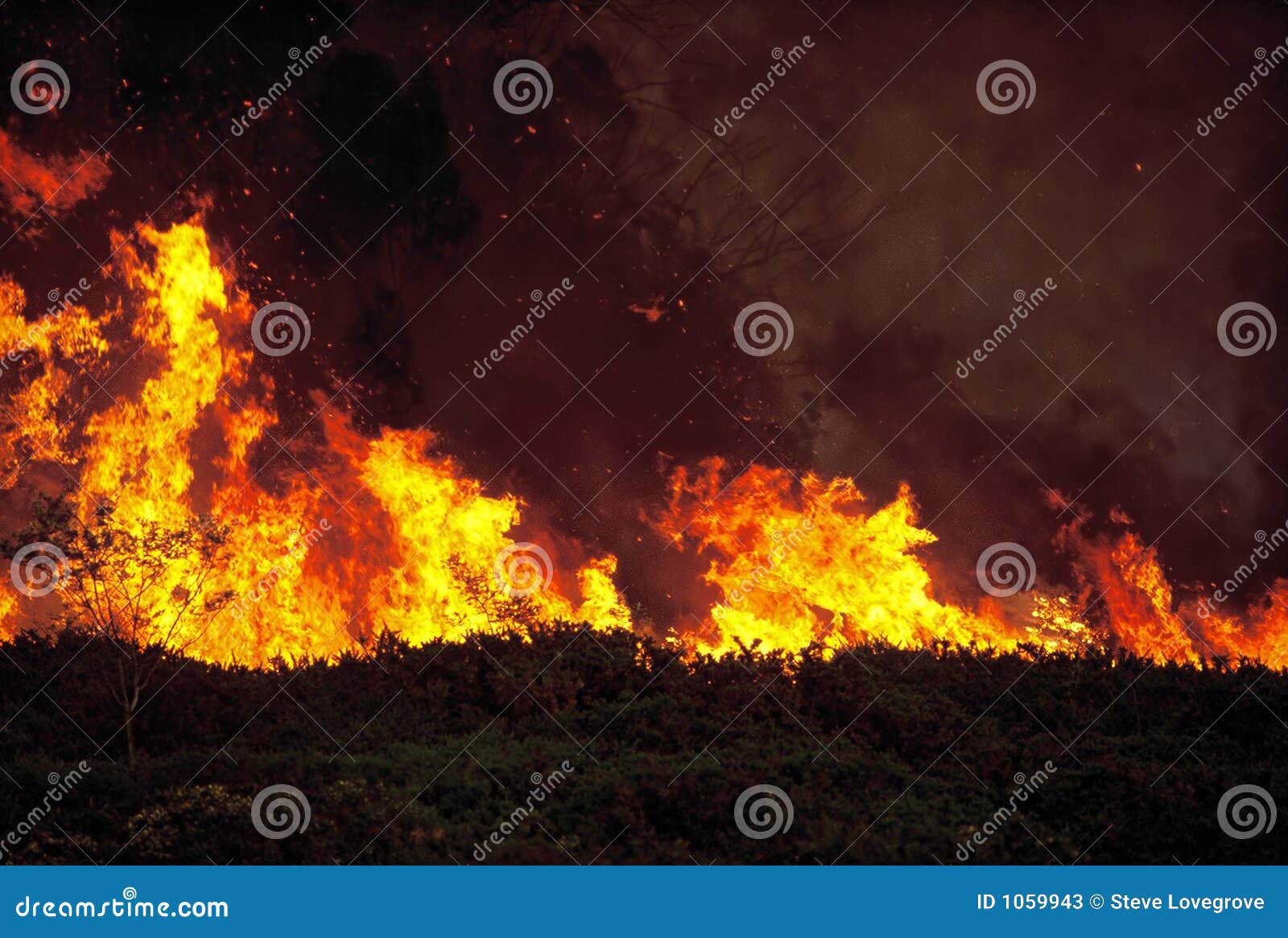 Bush Fire stock image. Image of disaster, bushfire, natural - 1059943