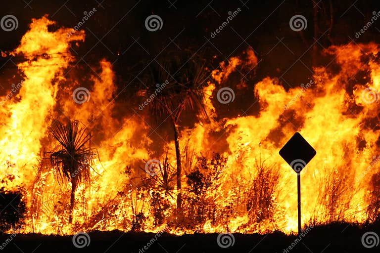Bush fire stock image. Image of destroy, land, emergency - 13142167