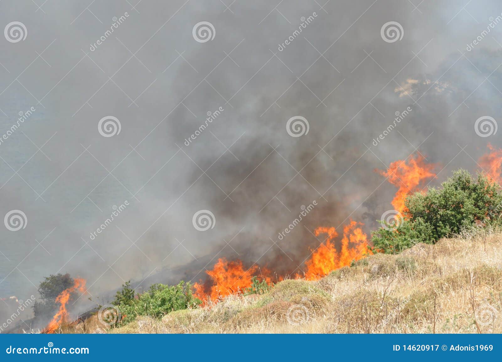 Bush fire stock image. Image of bush, smoke, raging, plumes - 14620917