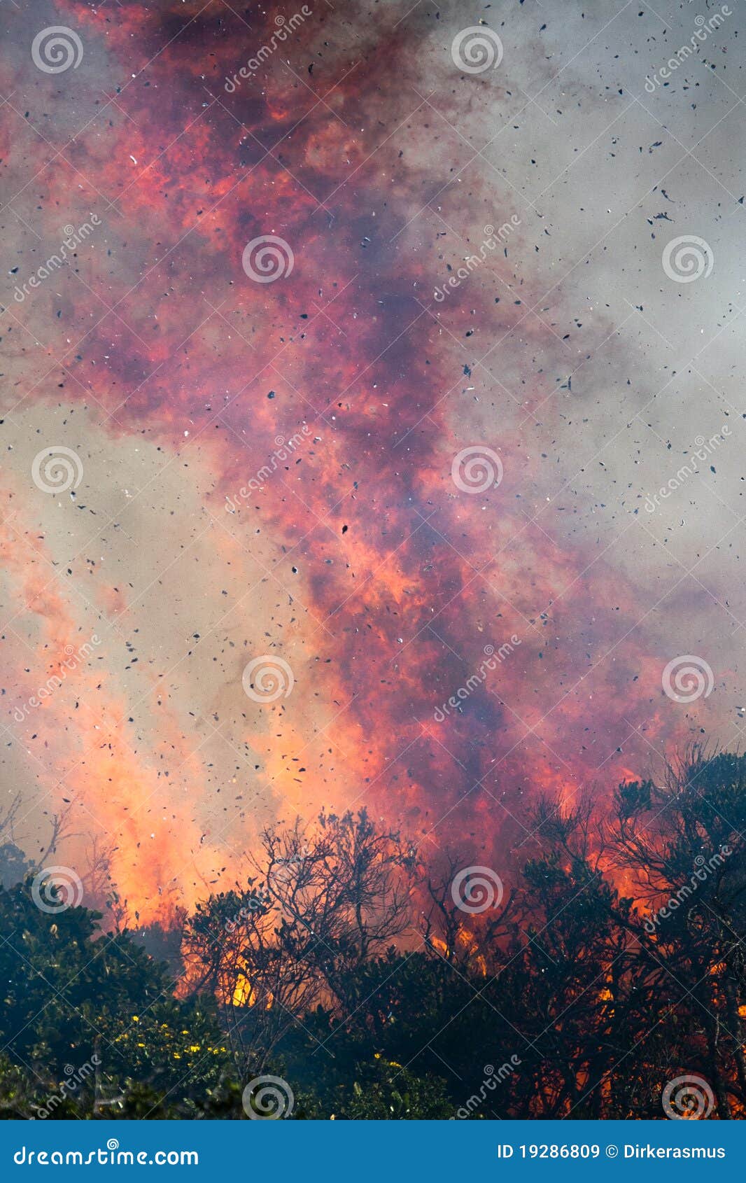Bush fire stock image. Image of fire, bush, flames, smoke - 19286809