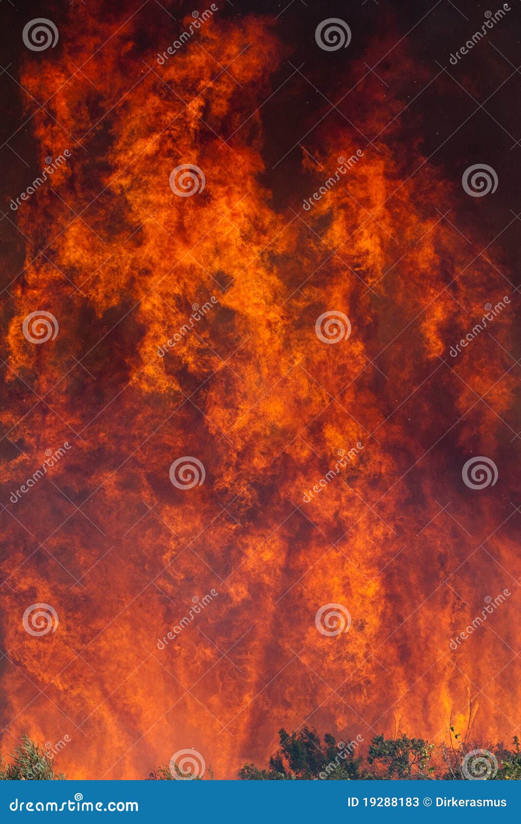 Bush fire stock image. Image of dramatic, veld, bush - 19288183