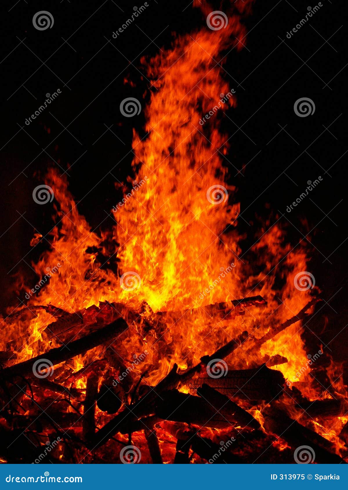 Bush fire stock image. Image of danger, roast, blaze, warm - 313975