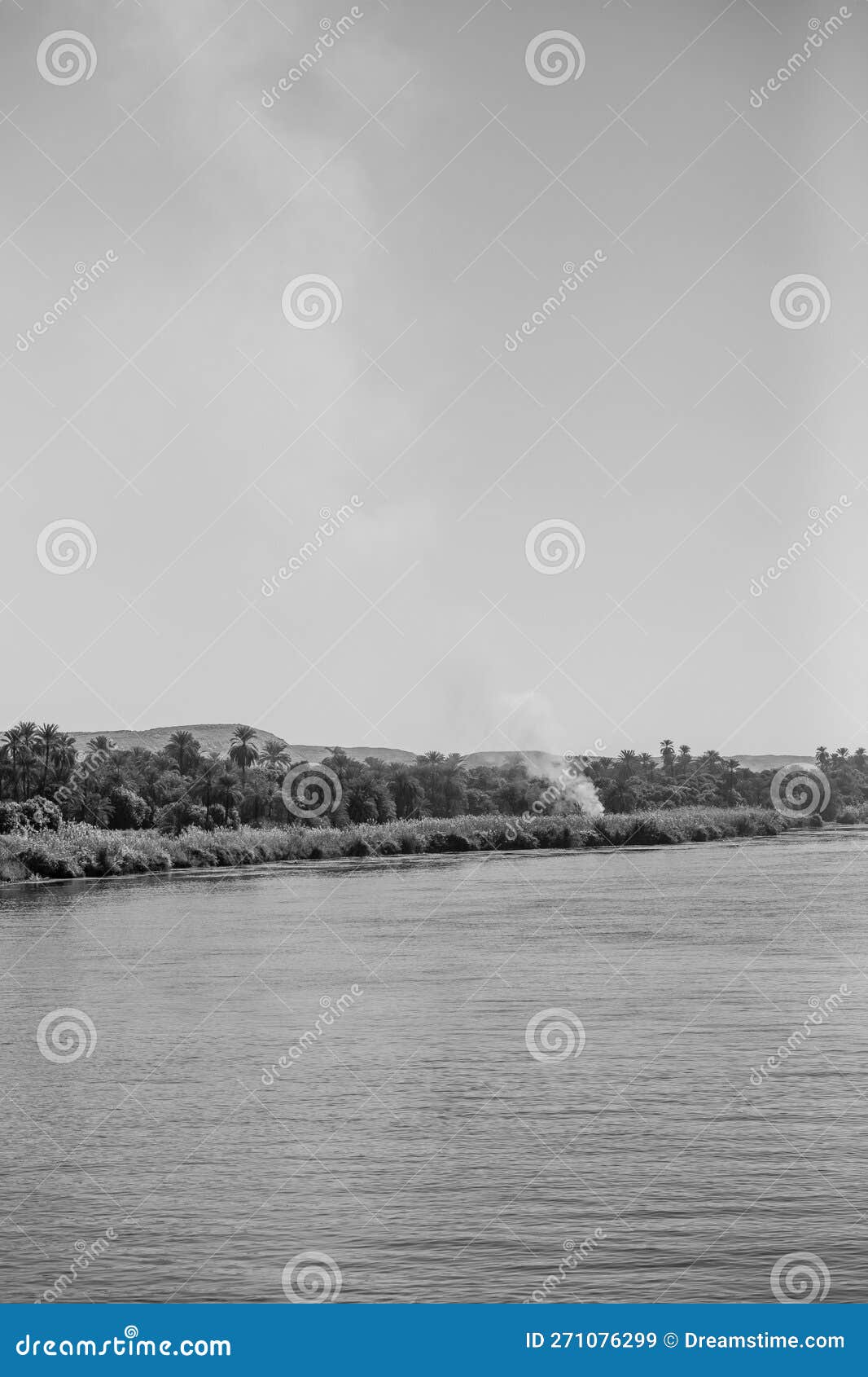 Bush Fire in Africa by the Nile Stock Image - Image of thorn, dust ...