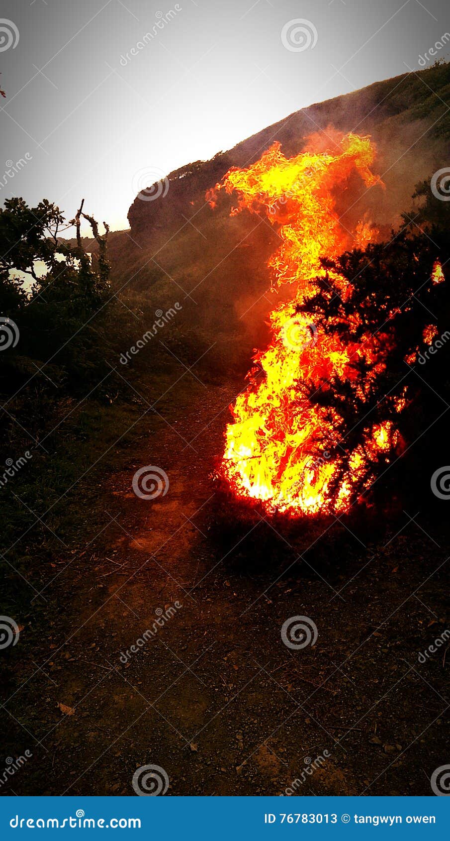 Bush fire stock image. Image of path, beach, bush, fire - 76783013