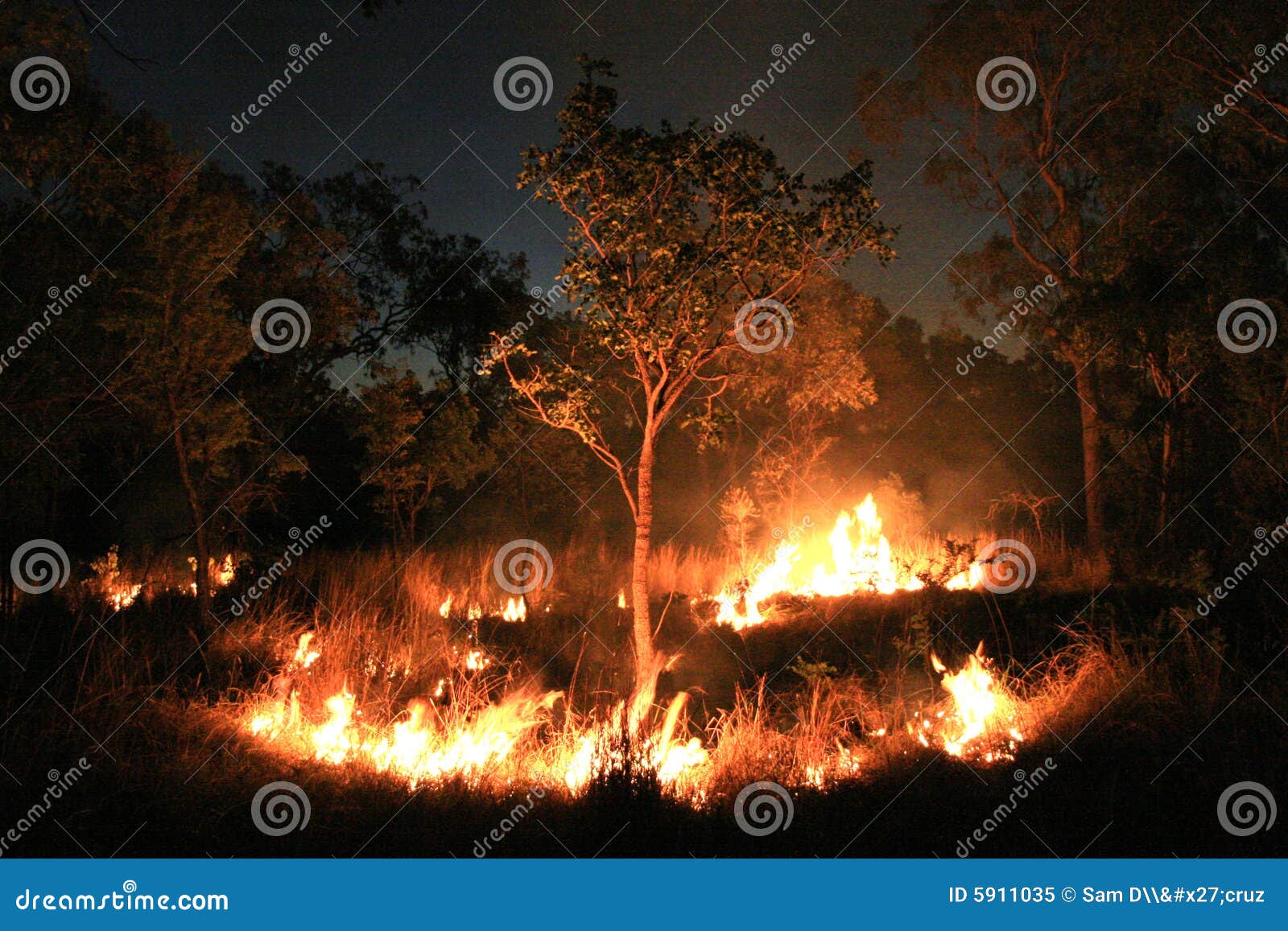 Bush Fire Scene Stock Photography | CartoonDealer.com #320